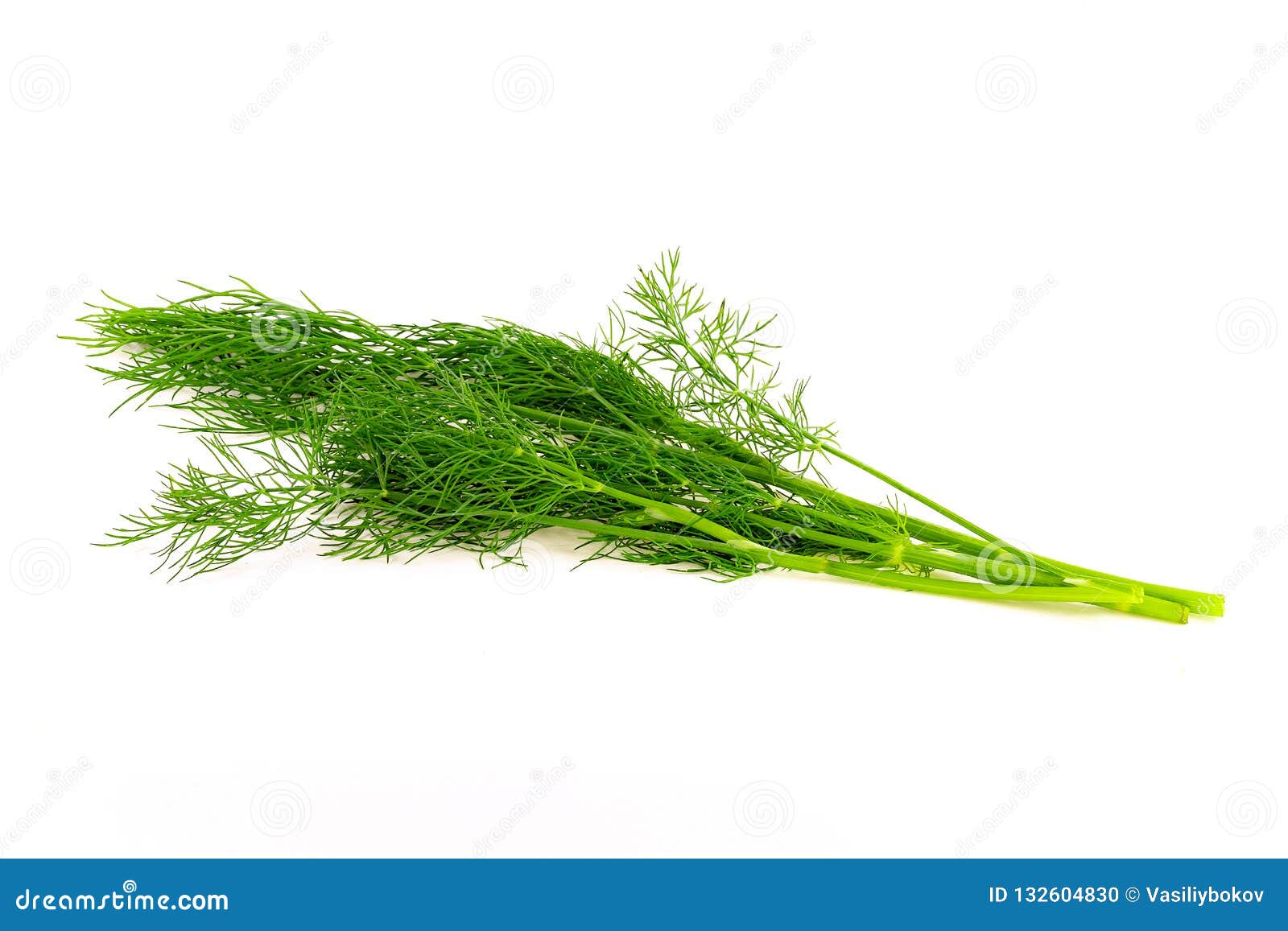 Several Sprigs of Dill Large Stock Photo - Image of health, healthy ...