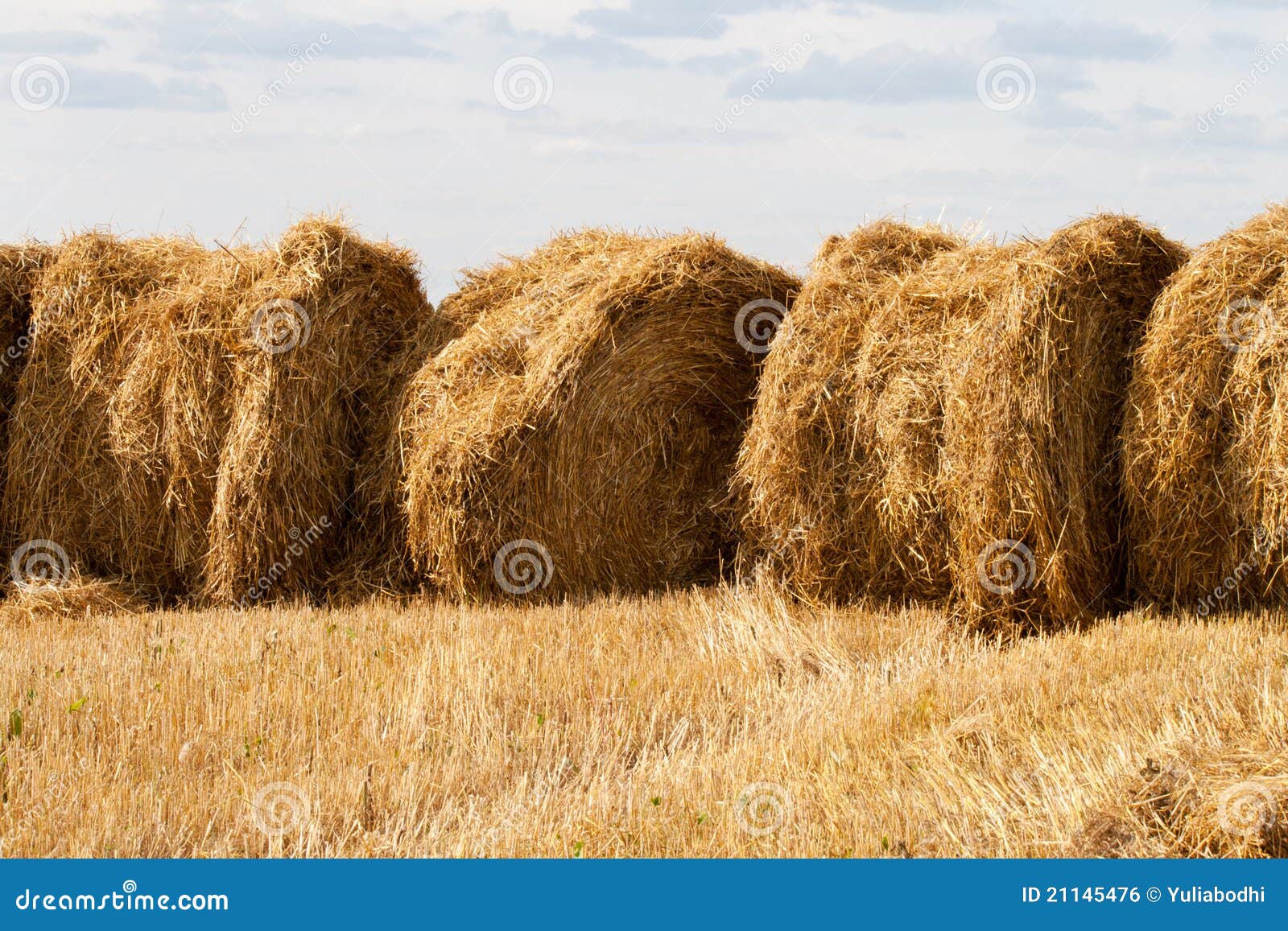 Several stacks of hay stock photo. Image of landscape - 21145476