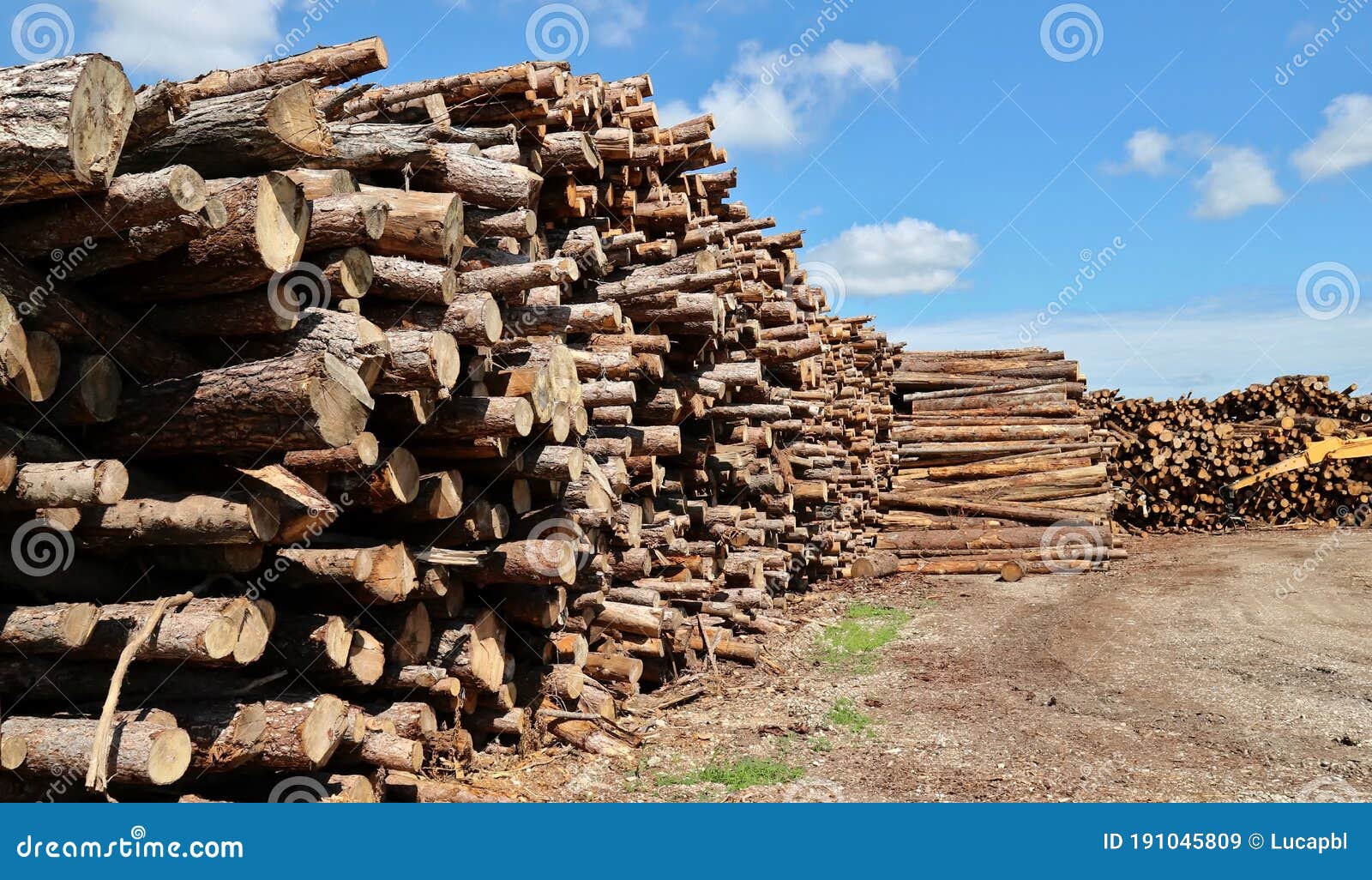 Several Stacks of Tree Trunks Under Blue Sky with Clouds, Waiting To Be ...