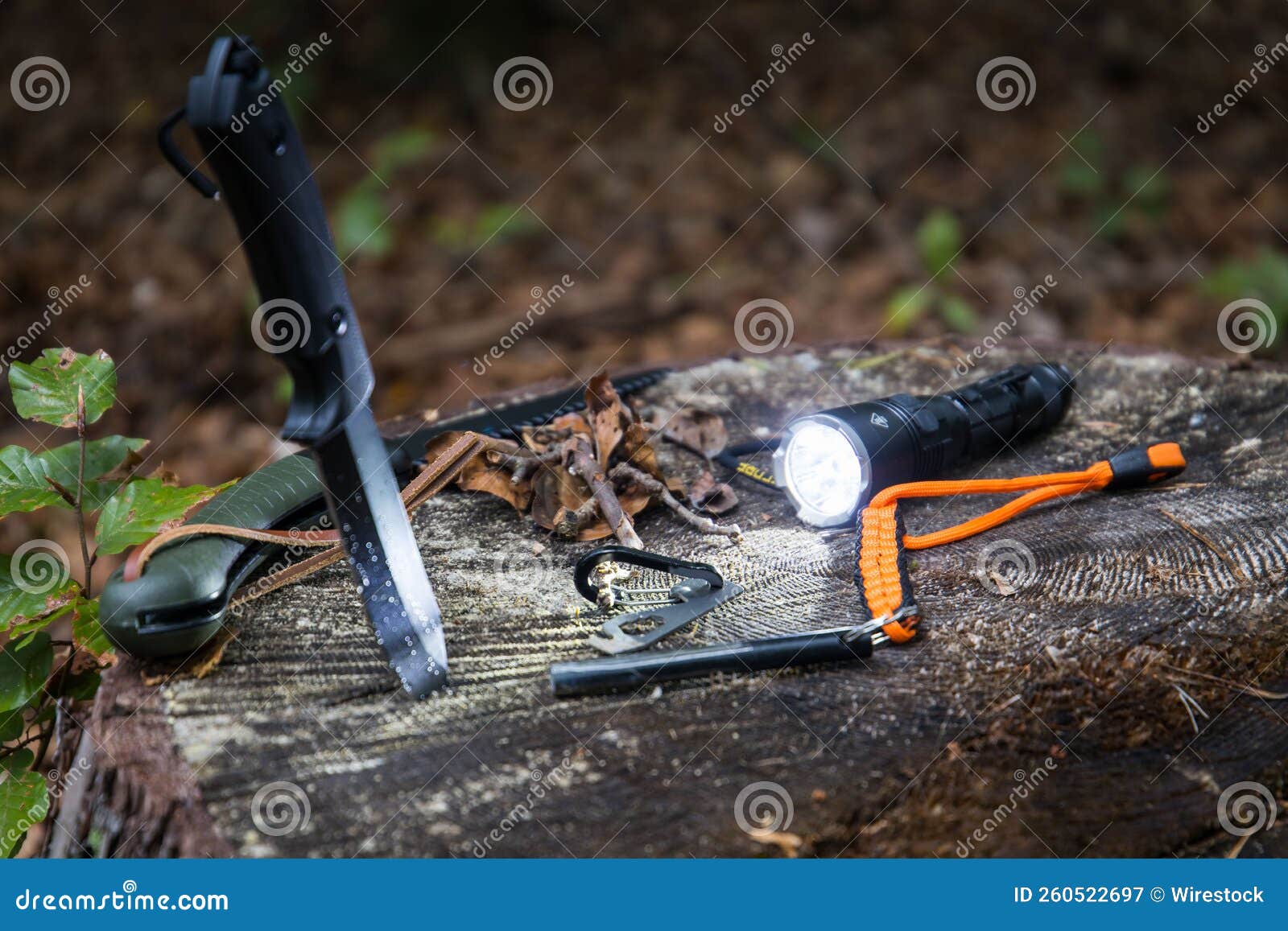 Several Survival and Bushcraft Tools on a Tree Stump Stock Image ...