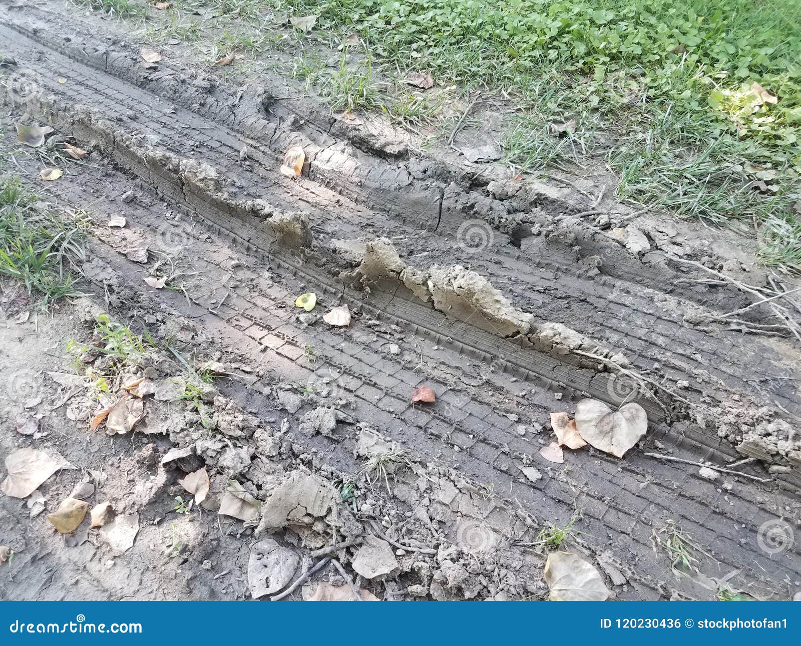 Tire tracks in the mud stock photo. Image of dirt, tracks - 120230436