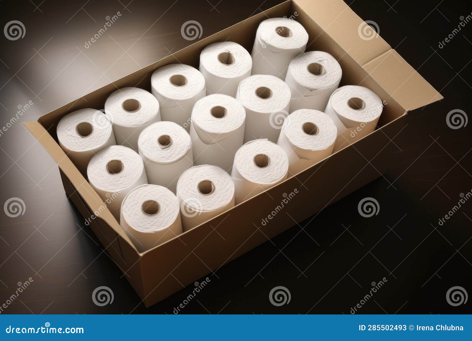 Several Toilet Paper Rolls in a Paper Box Stock Illustration ...