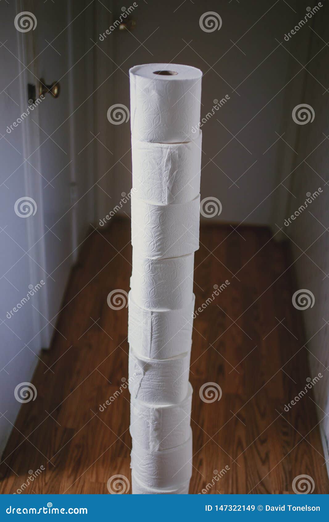 Toilet Paper Tower in the Hall Editorial Stock Image - Image of replace ...