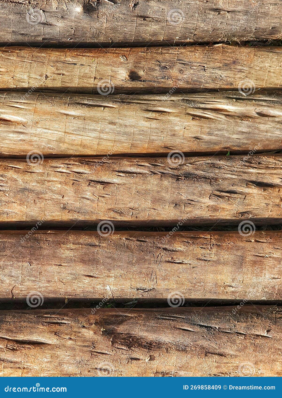 Several Tree Trunks or Wood Arranged Vertically Stock Image - Image of ...