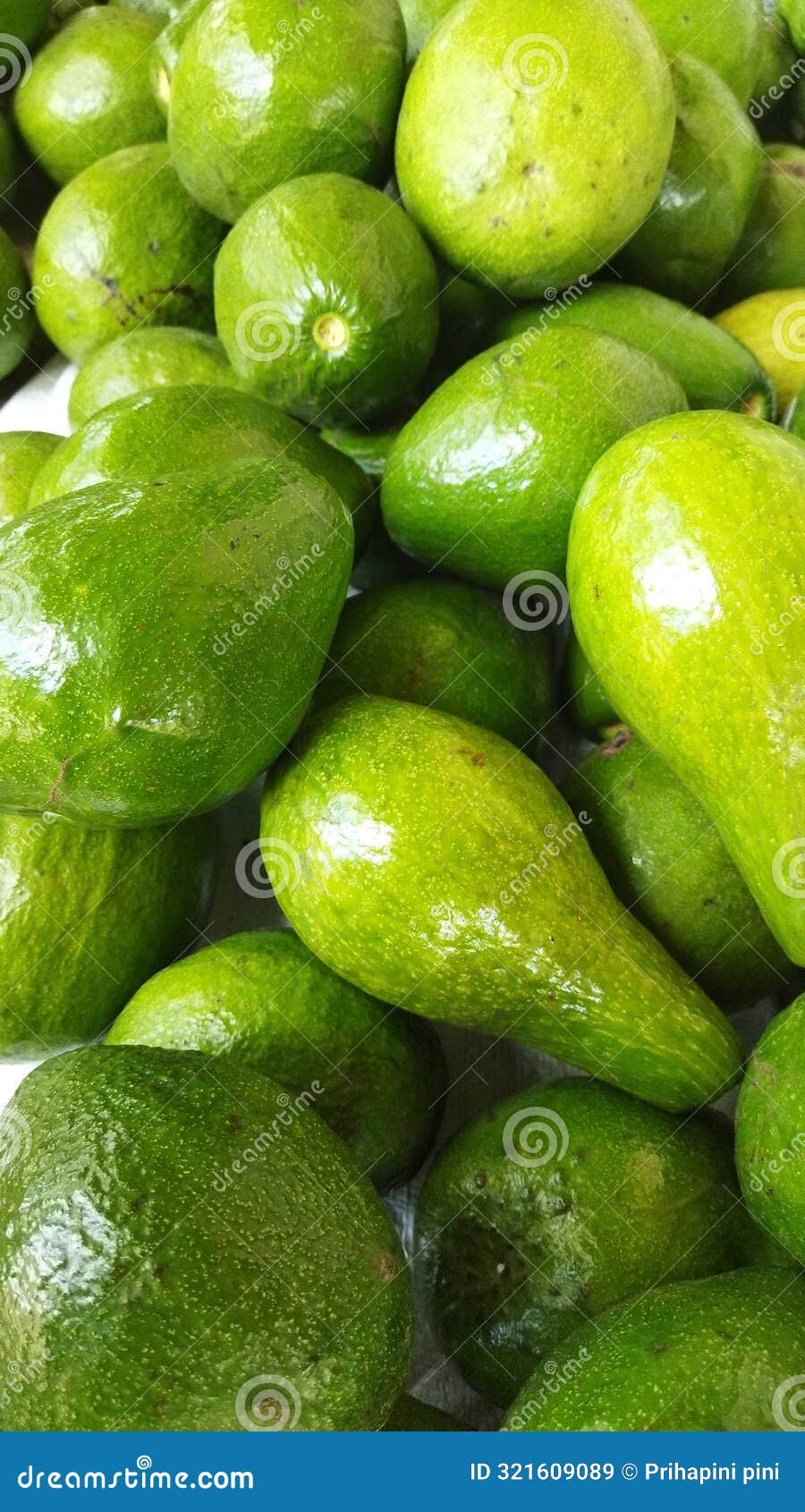 Several Types of Avocado are Shiny Green Stock Image - Image of avocado ...