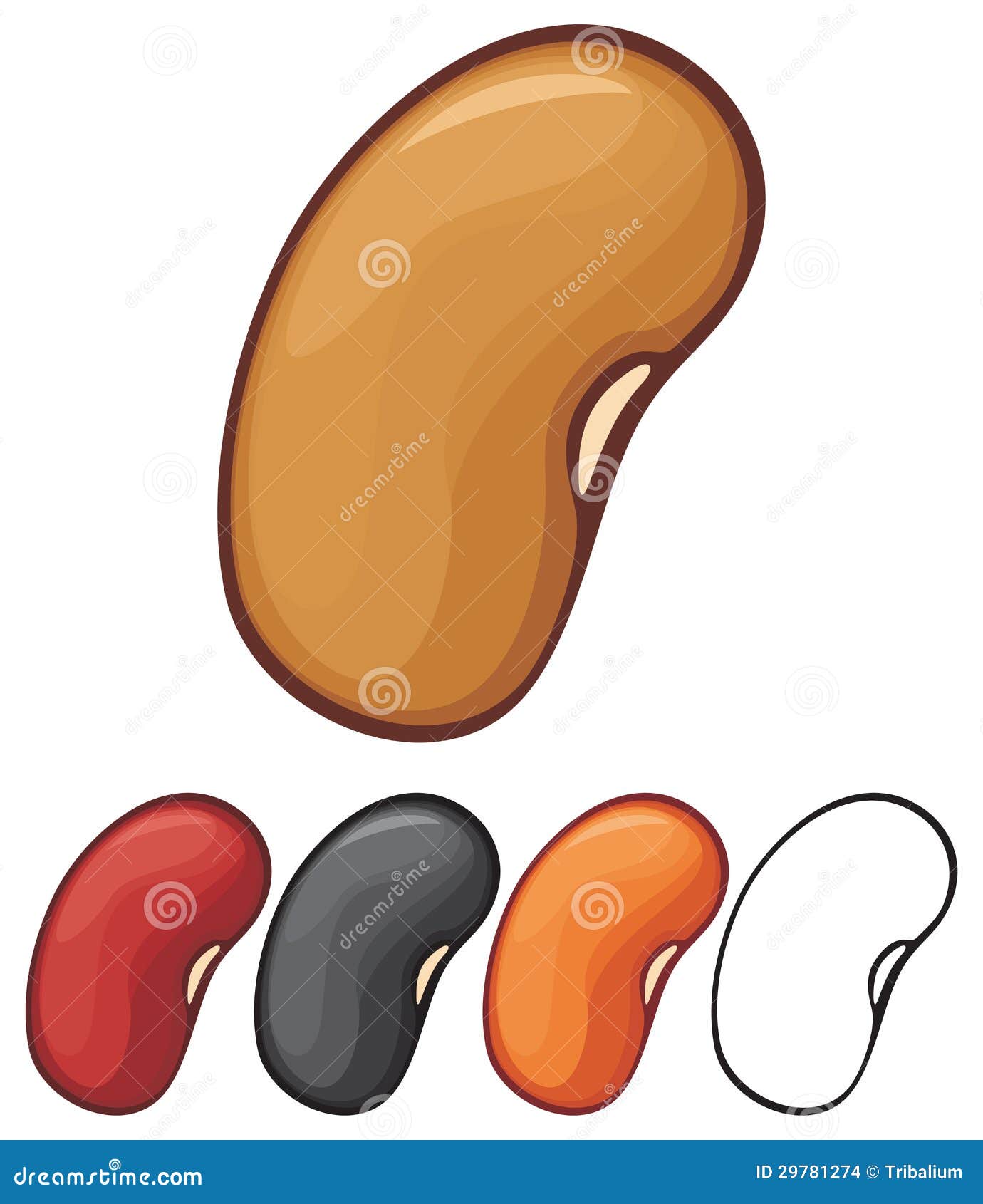 Beans stock vector. Illustration of pulse, nutritive - 29781274