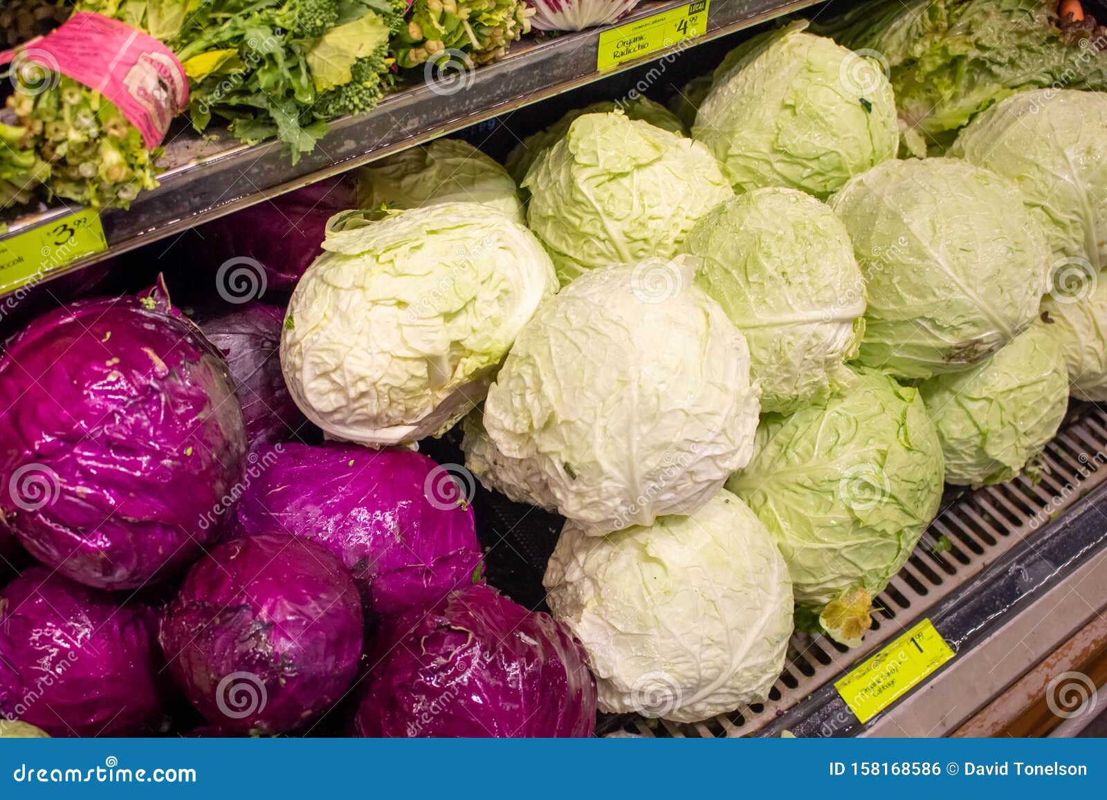 Cabbage at the store editorial photo. Image of ready - 158168586