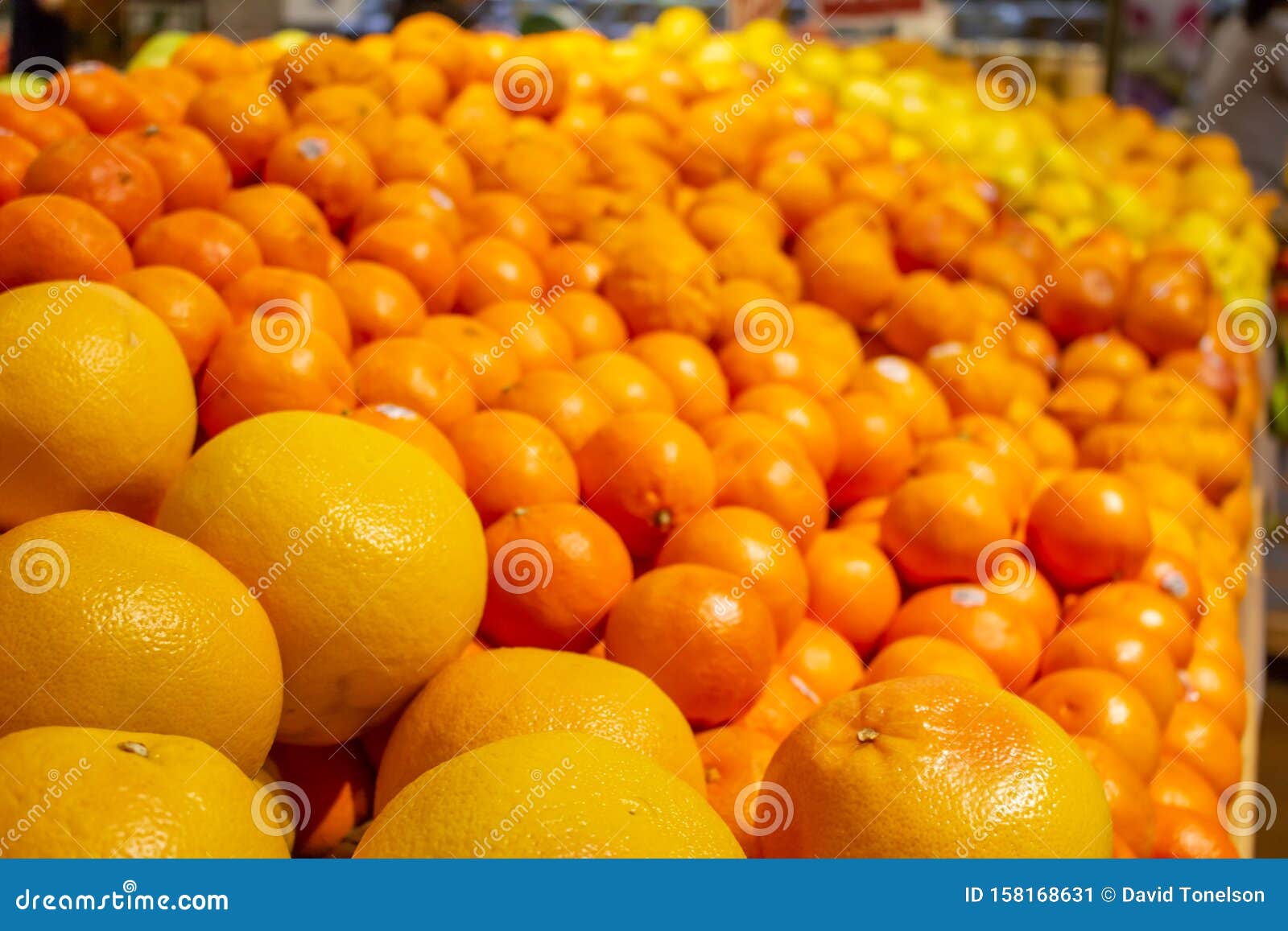 Citrus at the store stock image. Image of organized - 158168631