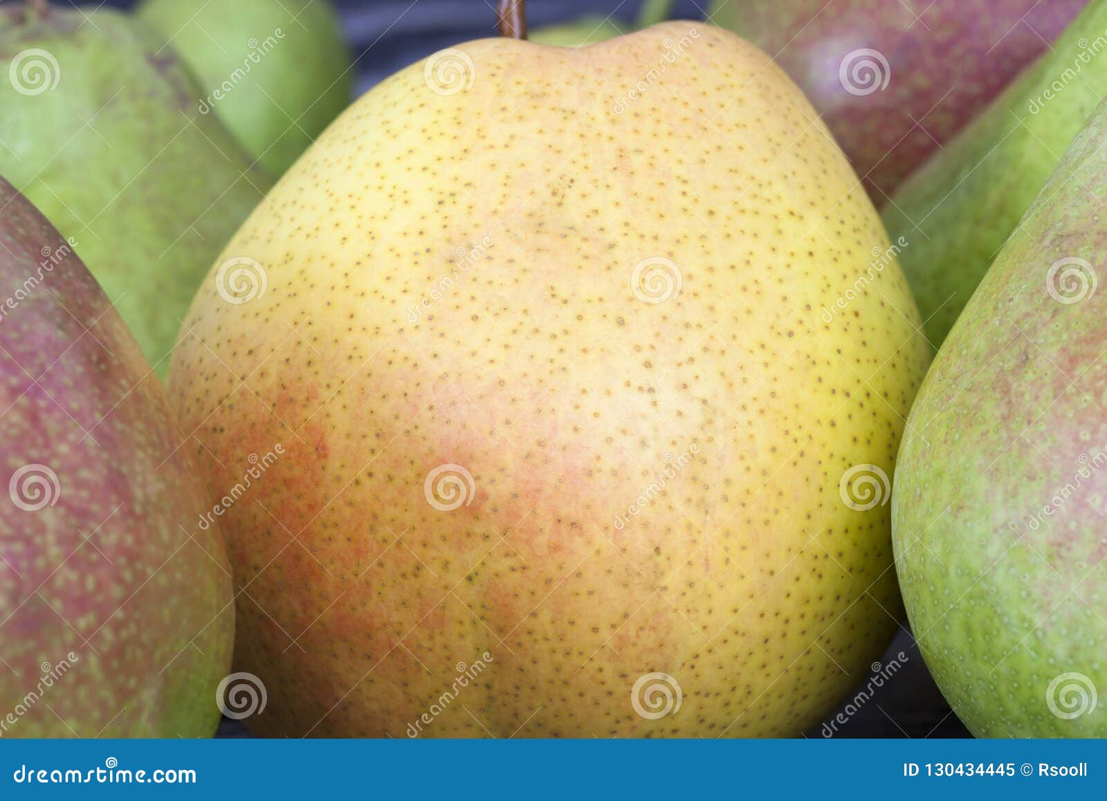 Several varieties of pears stock image. Image of assorted - 130434445