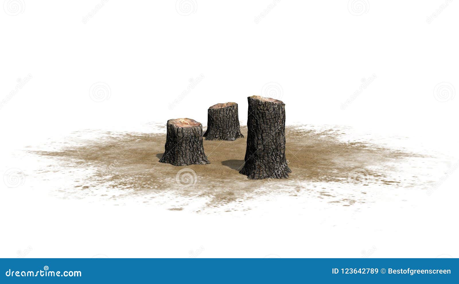 Several Various Tree Stumps on a Sand Area Stock Illustration ...