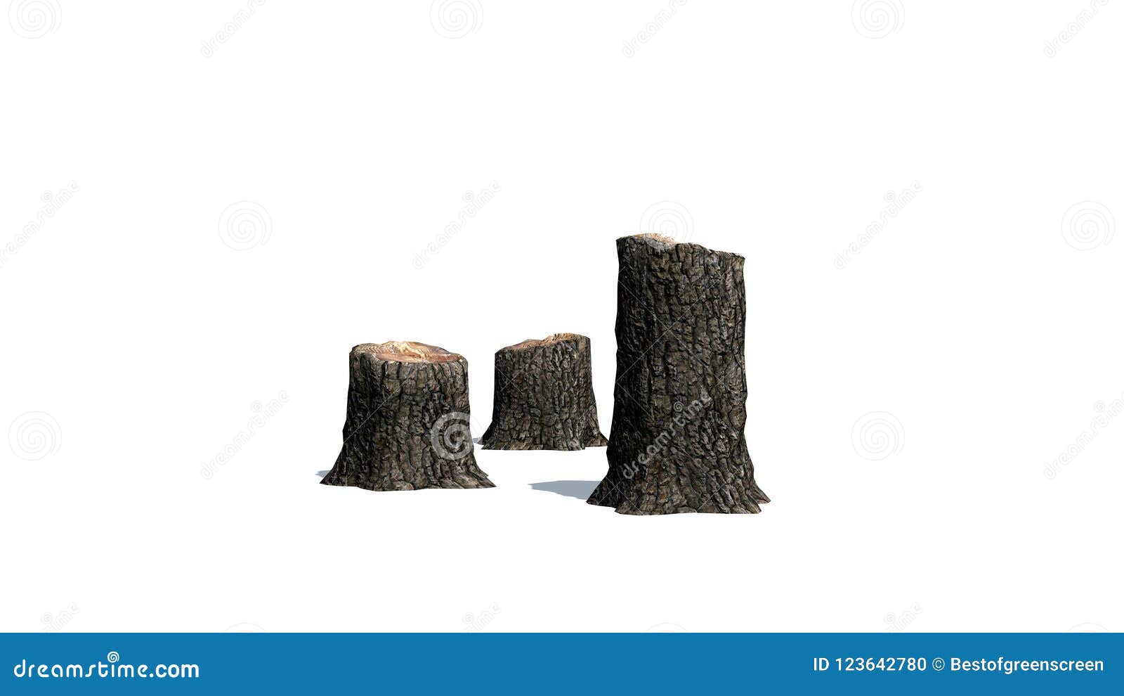 Several Various Tree Stumps Stock Illustration - Illustration of ...