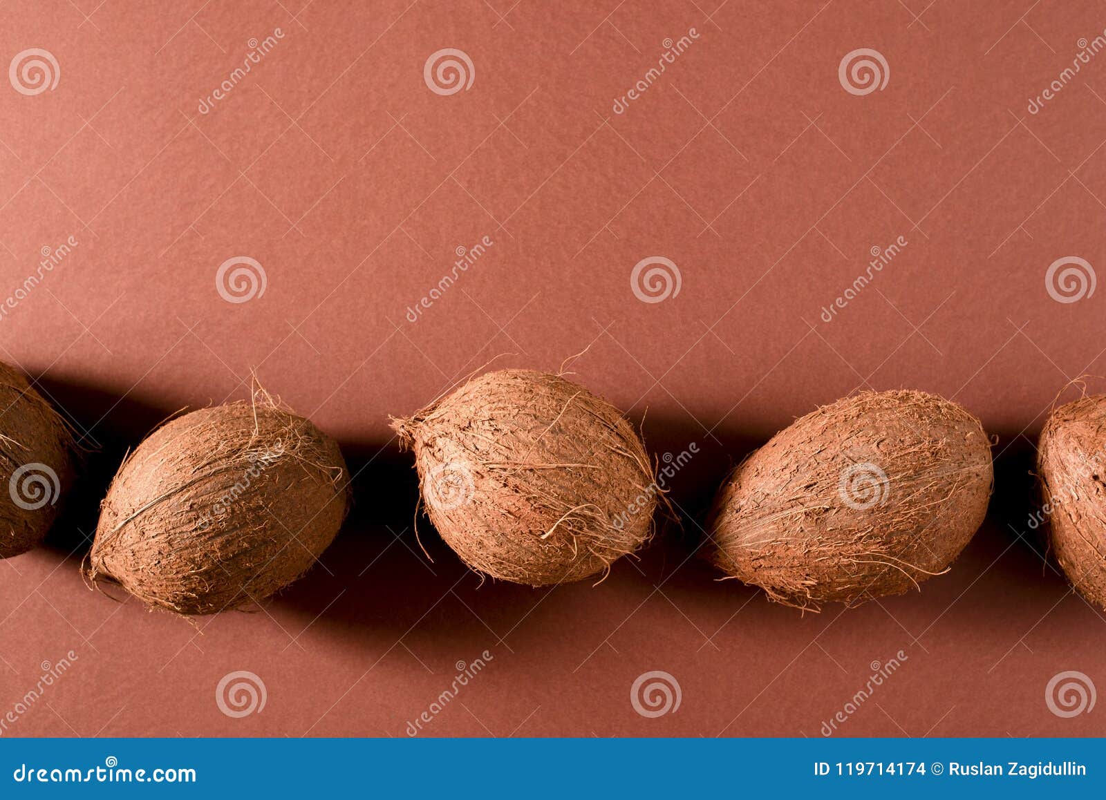 Several whole coconuts stock photo. Image of delicious - 119714174