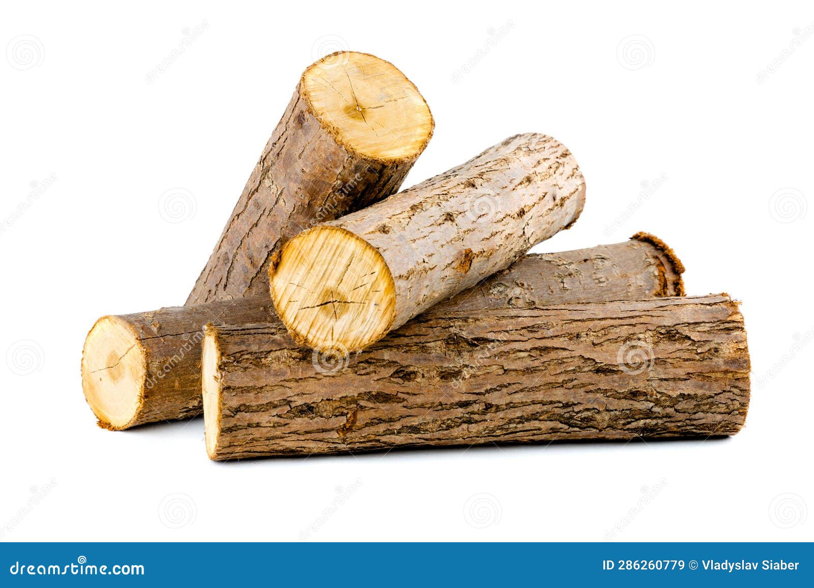 Several Willow Logs Isolated Over White Background Stock Image - Image ...