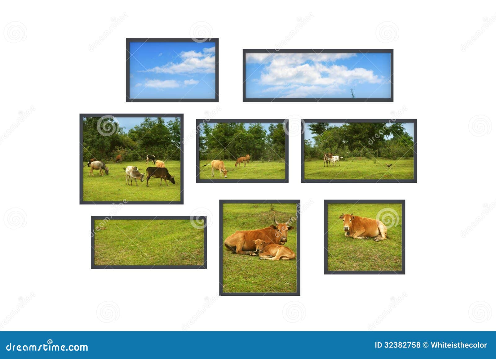 Several Windows on a White Wall with Rural Landscape Stock Illustration ...