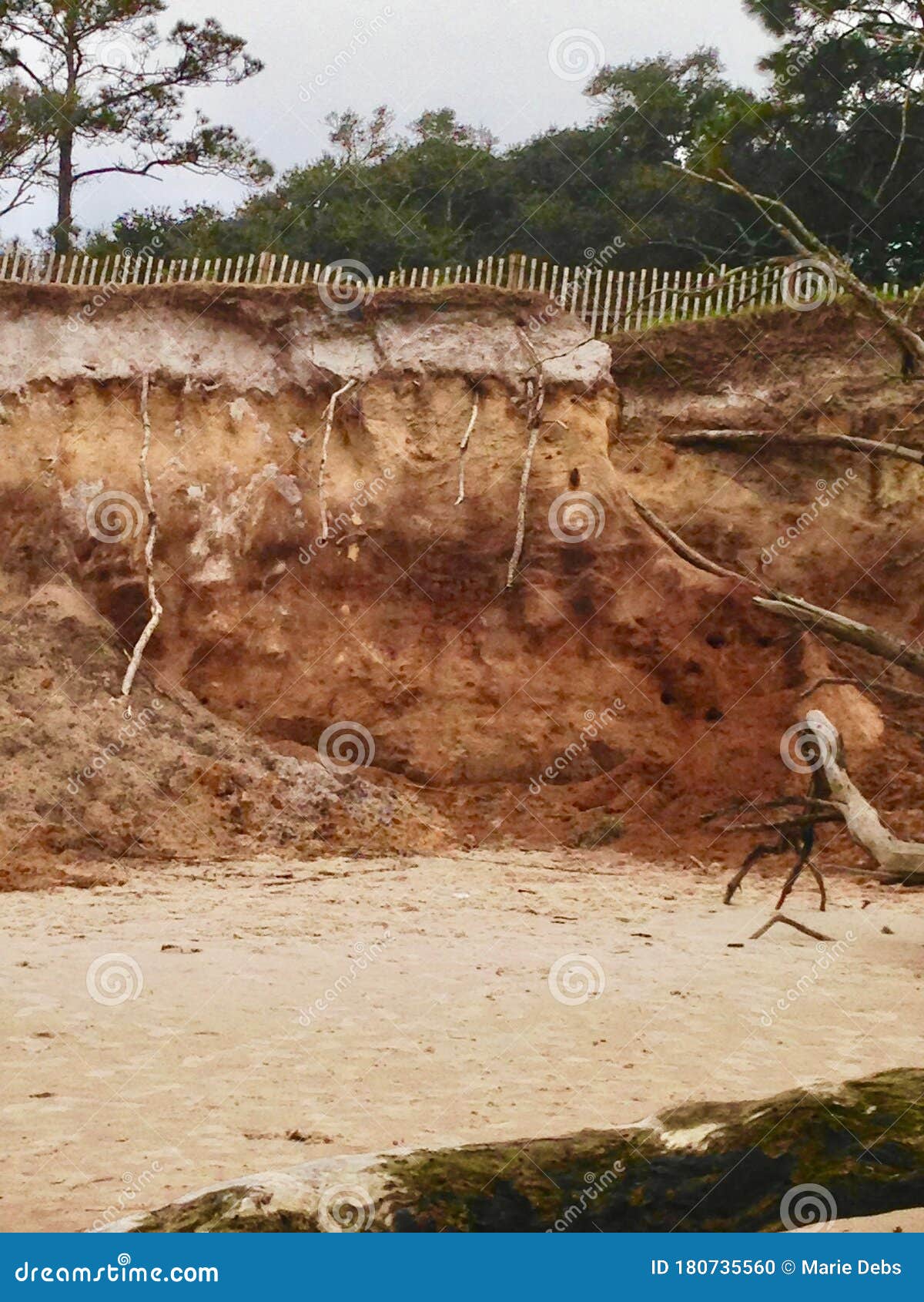 Beach Erosion after a Storm in Florida Stock Photo - Image of ...