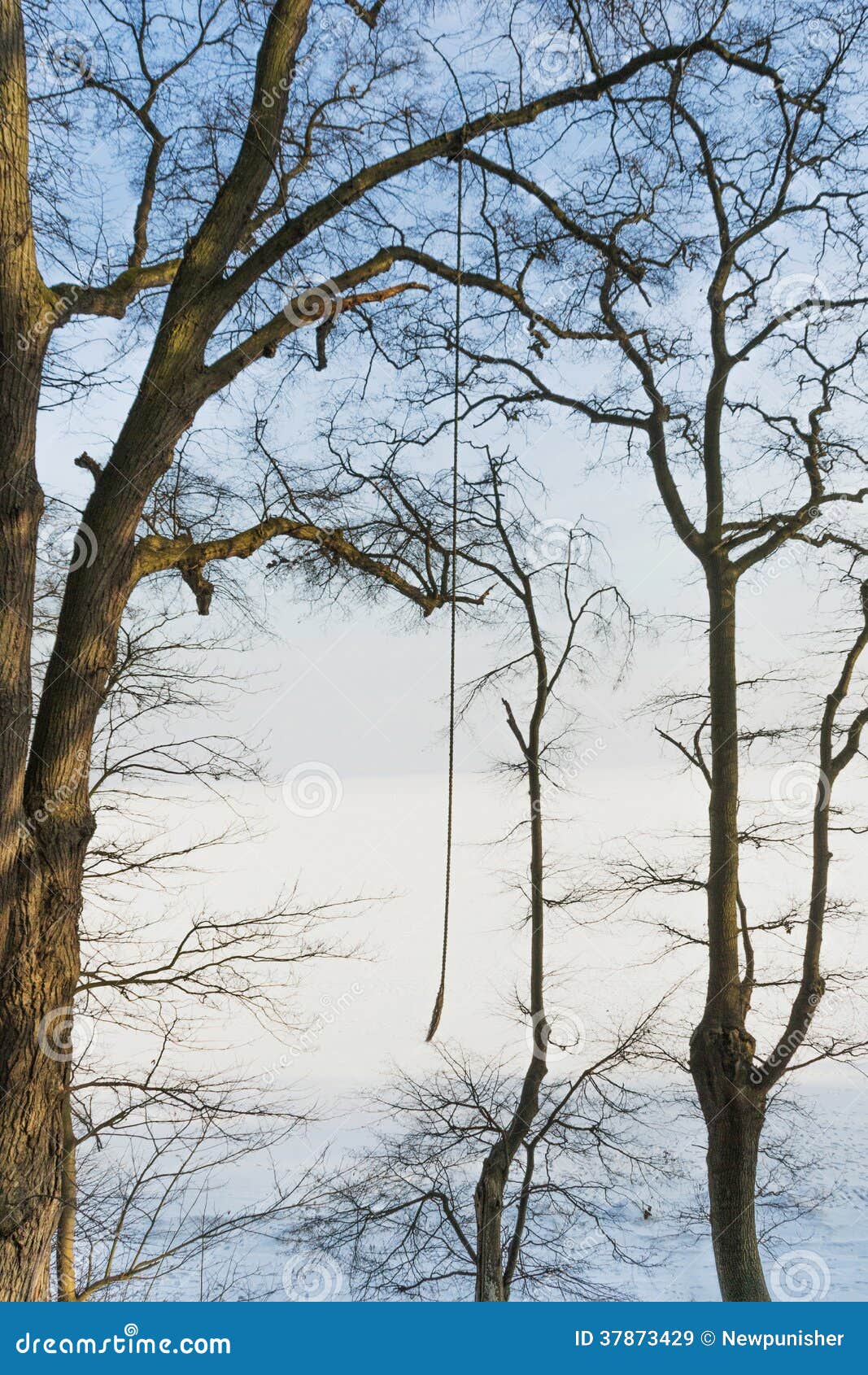 Severed rope stock image. Image of noose, freedom, lasso - 37873429