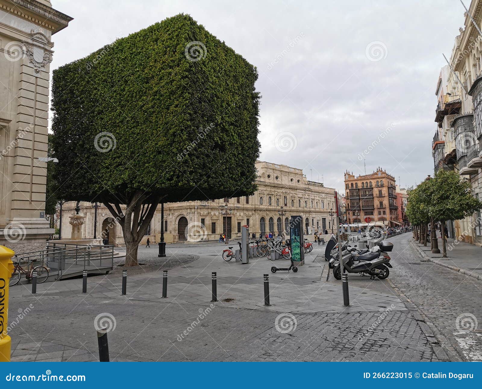 Sevilla Cube Tree City art editorial image. Image of town - 266223015