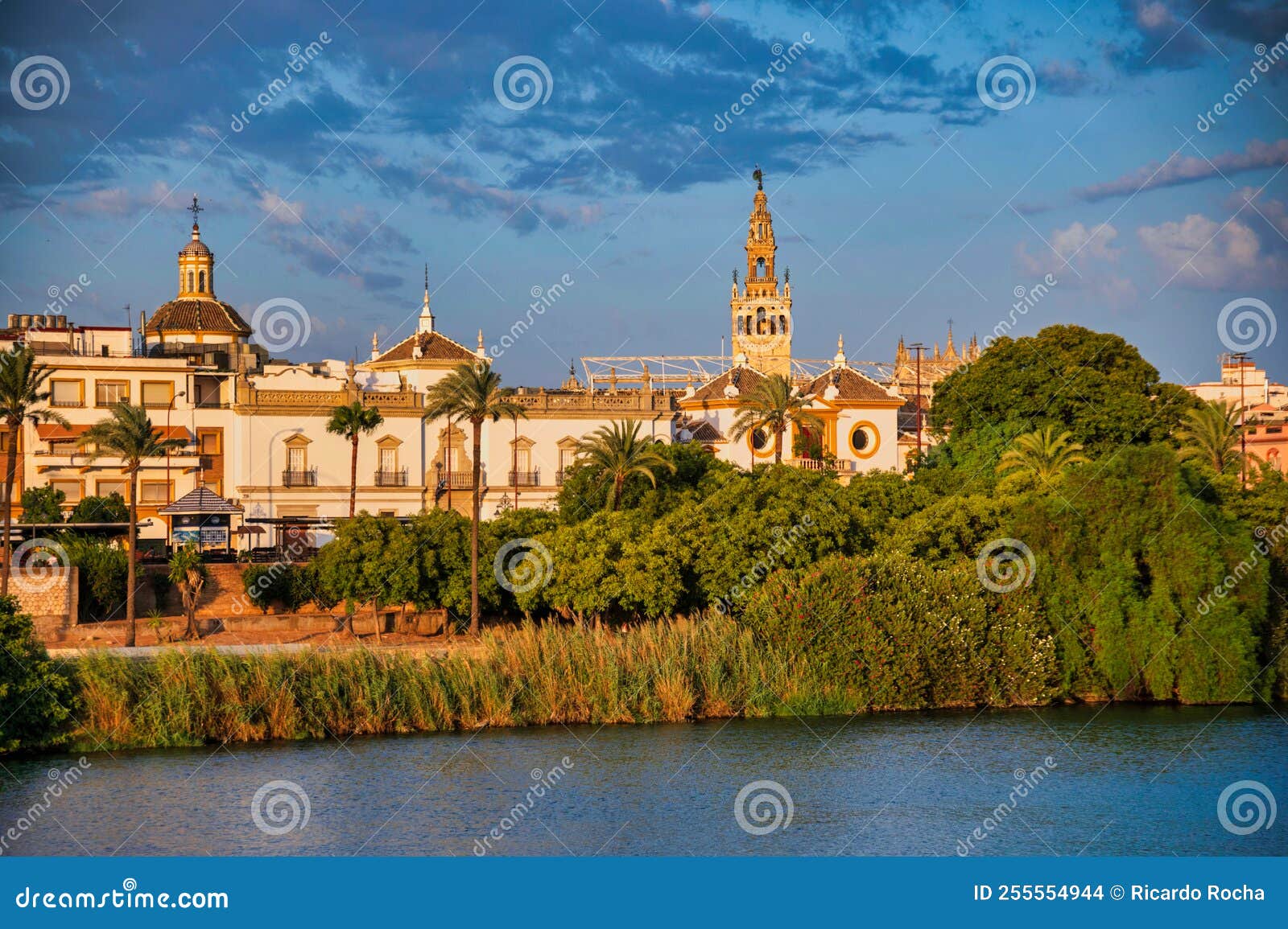 Sevilla downtown in spain editorial stock image. Image of house - 255554944