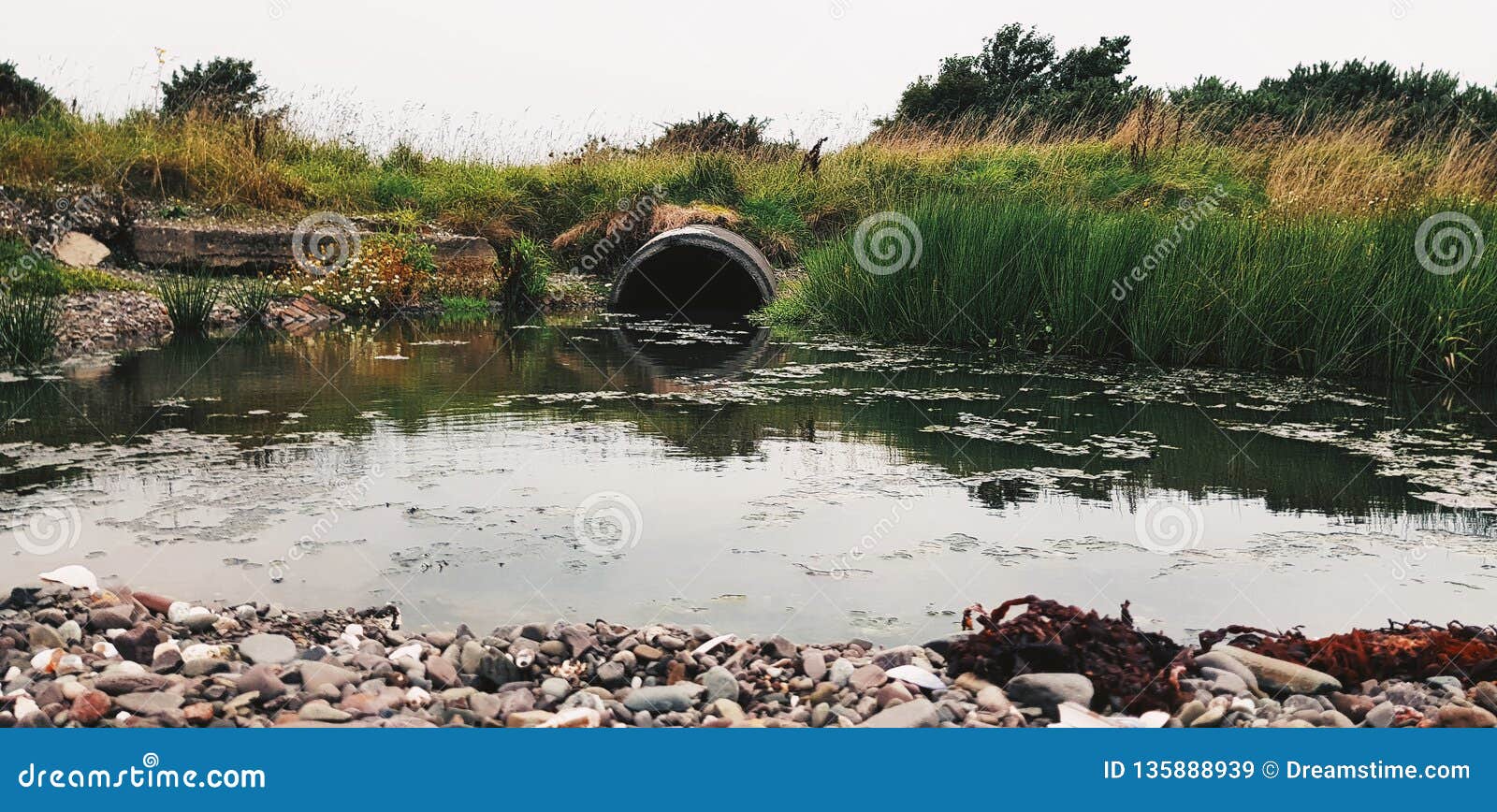 Disgusting Sewage Background Royalty-Free Stock Photography ...