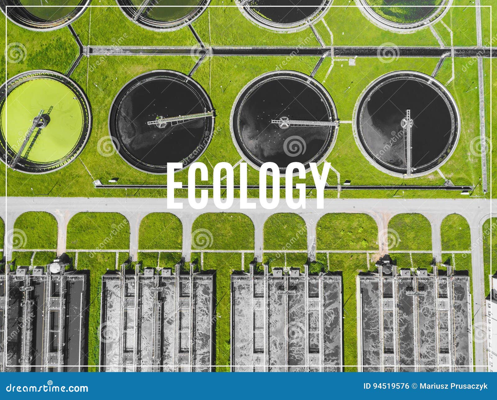 Sewage Farm Aerial View. Clarifying Tanks And Green Grass. Top View Of ...