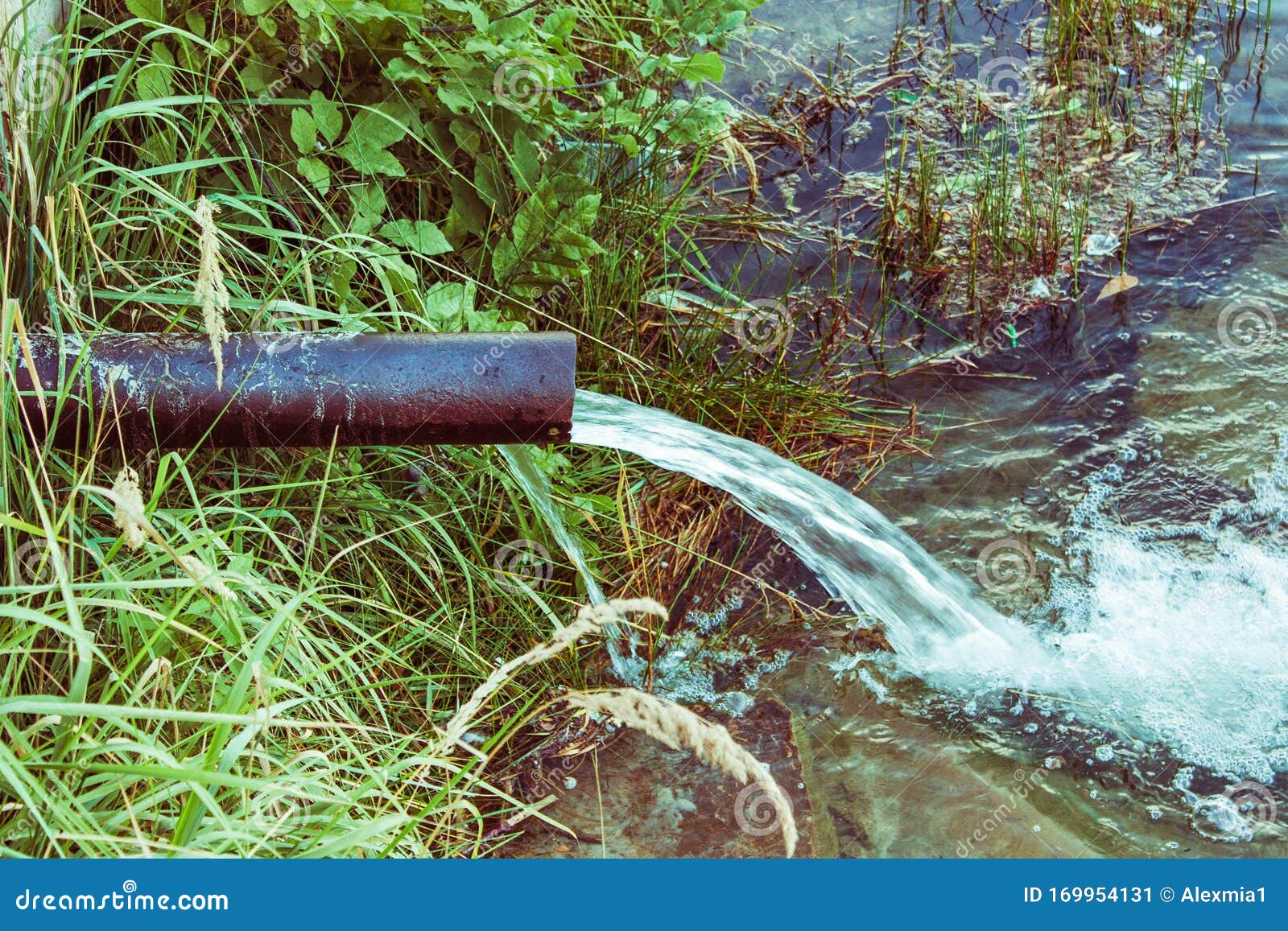 Sewage Flows into the Lake, River. Environmental Pollution Stock Image ...