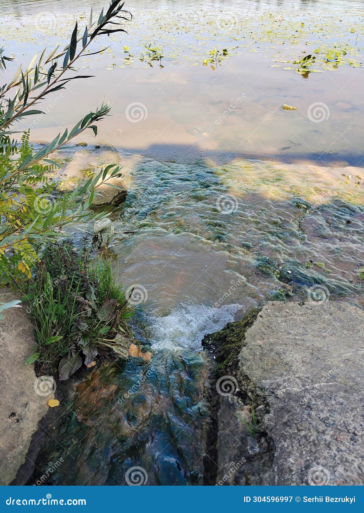 Sewage Flows from the Underground Sewer Collector. Human Pollution of ...