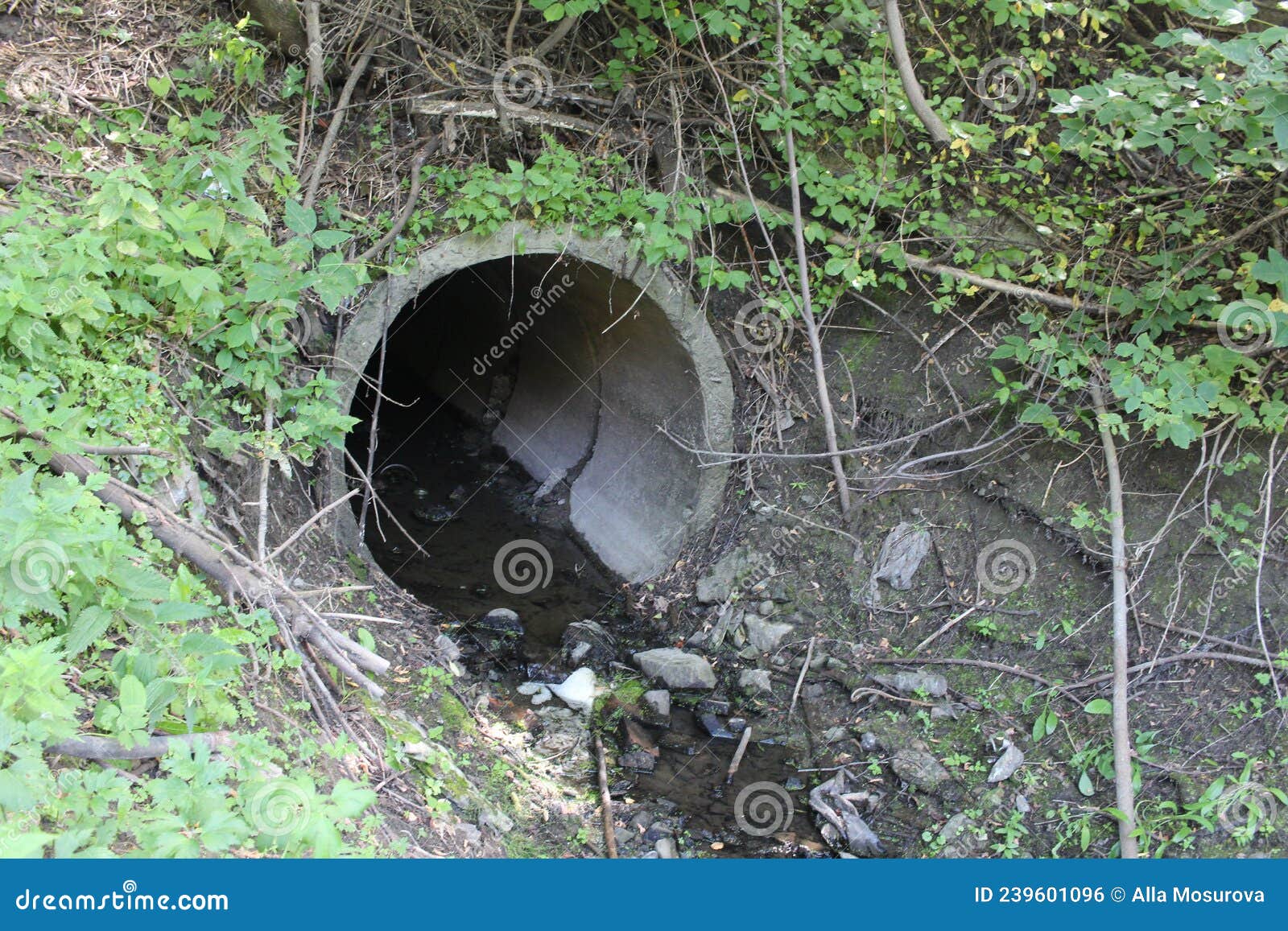 Sewage Pipe for Industrial Wastewater Pollutes the Environment Stock ...