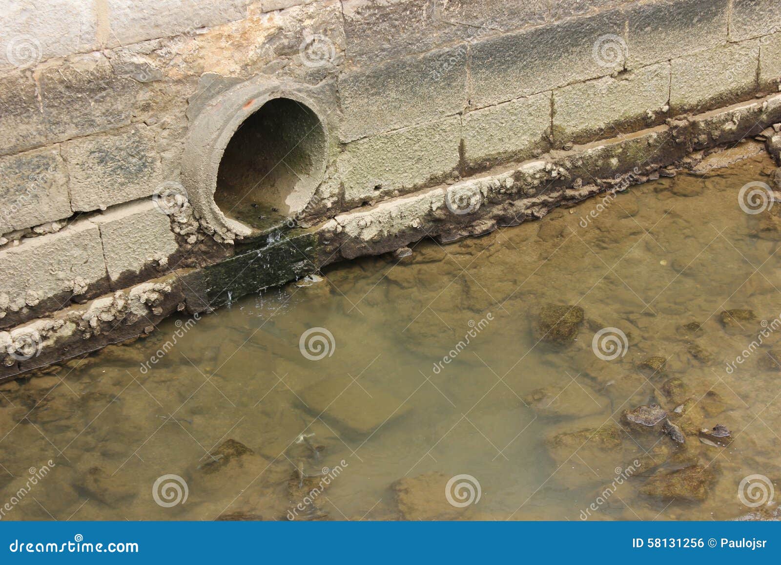 Sewage Pipe Water and River Pollution (PJSR_A5940) Stock Photo - Image ...
