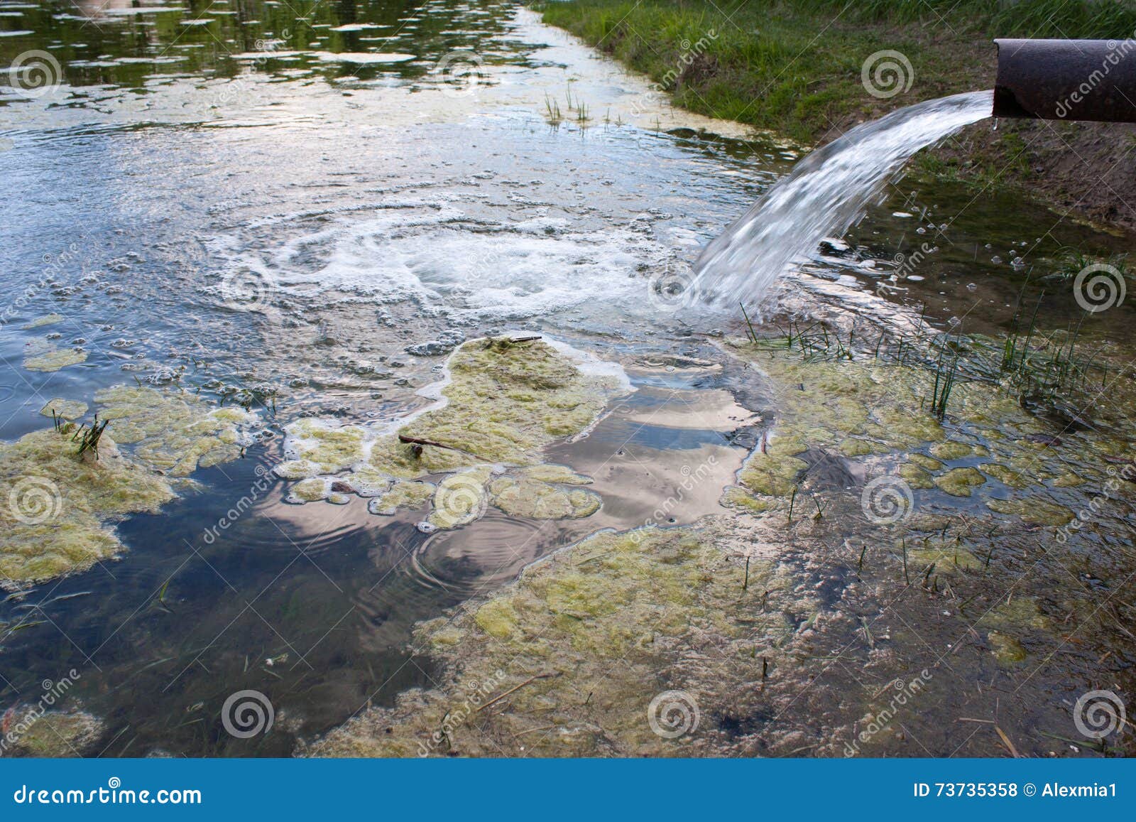 Sewage from the Sewer Pollute a Lake, River Stock Photo - Image of ...