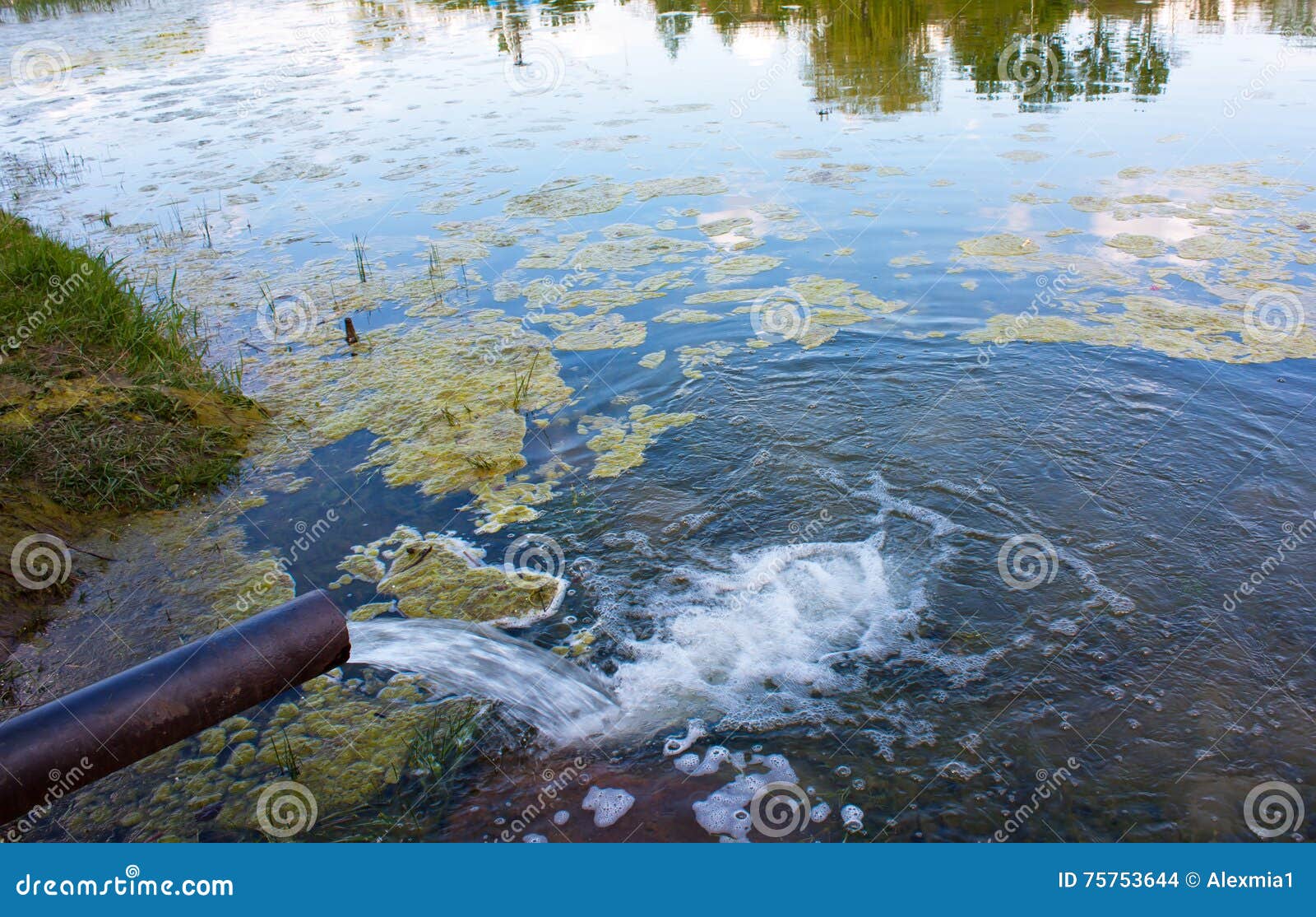 Sewage from the Sewer Pollute a Lake, River Stock Photo - Image of scum ...