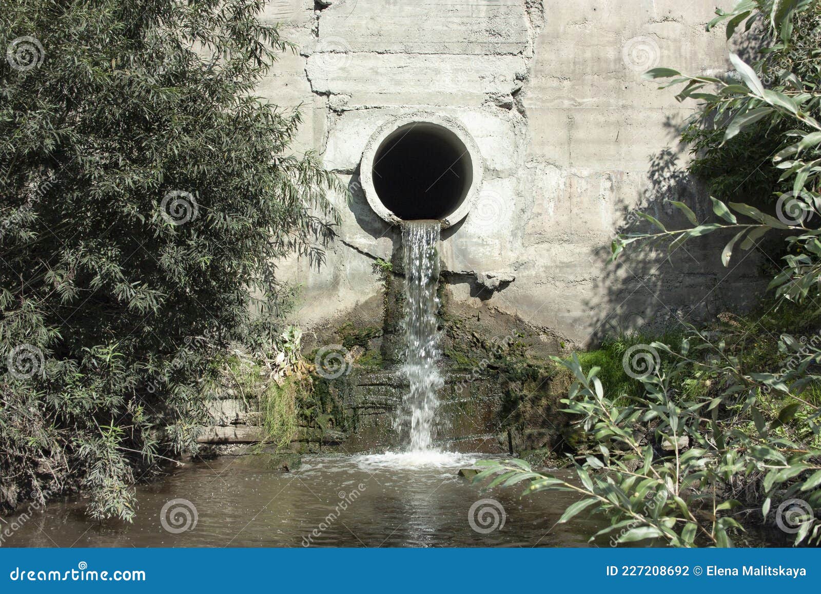 Sewage or Sewage Water Flows Out of the Drain Pipe into the River Stock ...