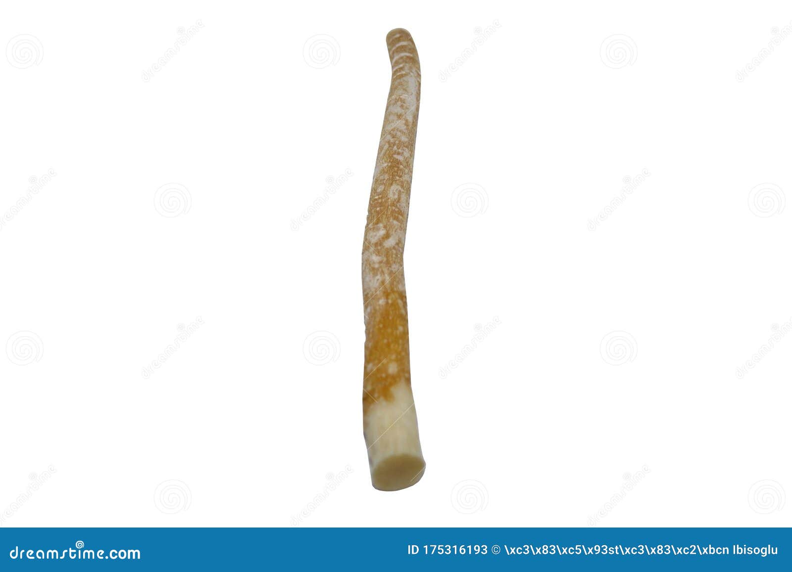 Sewak Stick Isolated On White Background. Stock Image - Image of ...