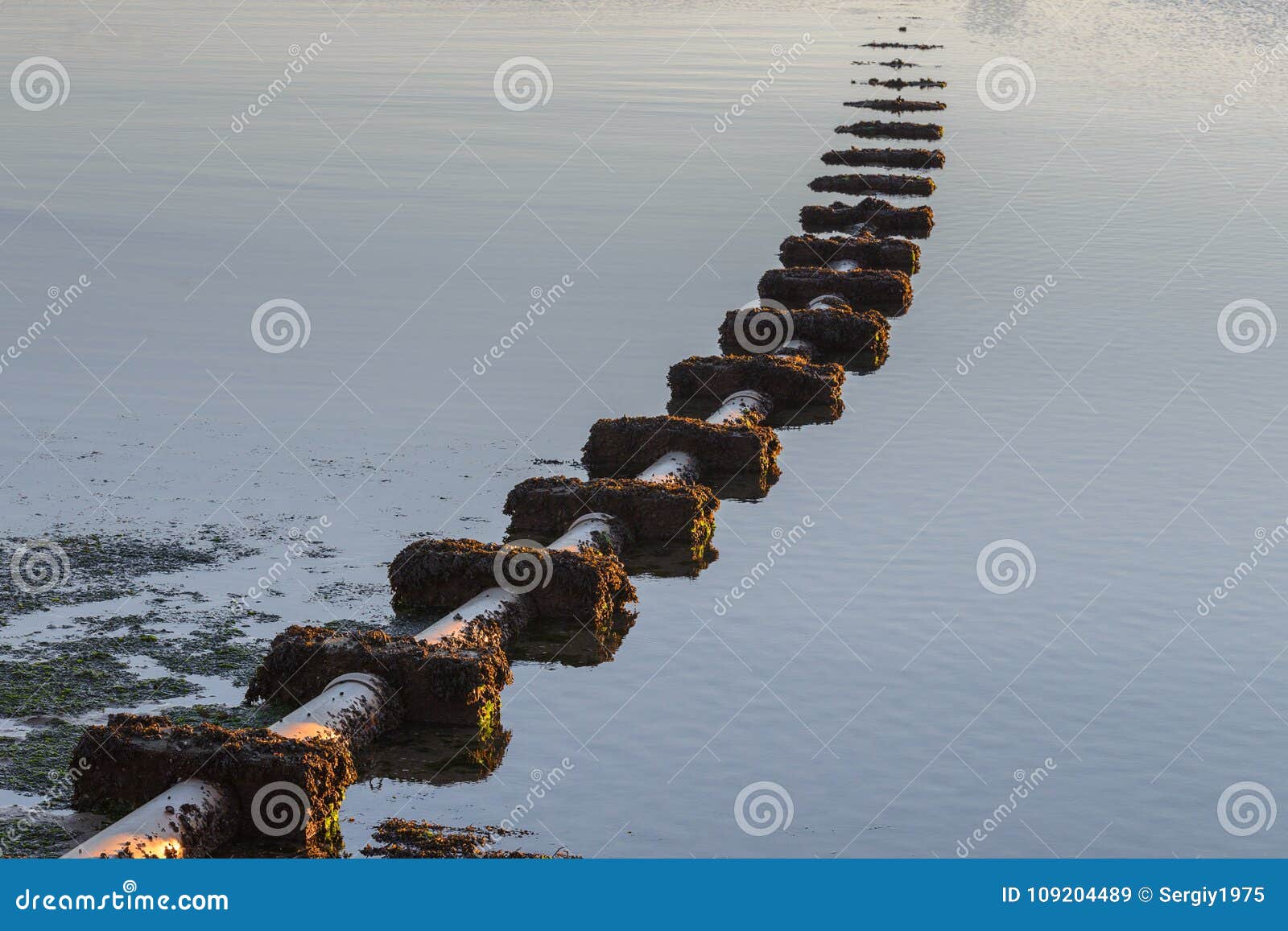 Sewer Coming Out in the Sea Stock Image - Image of environmental ...