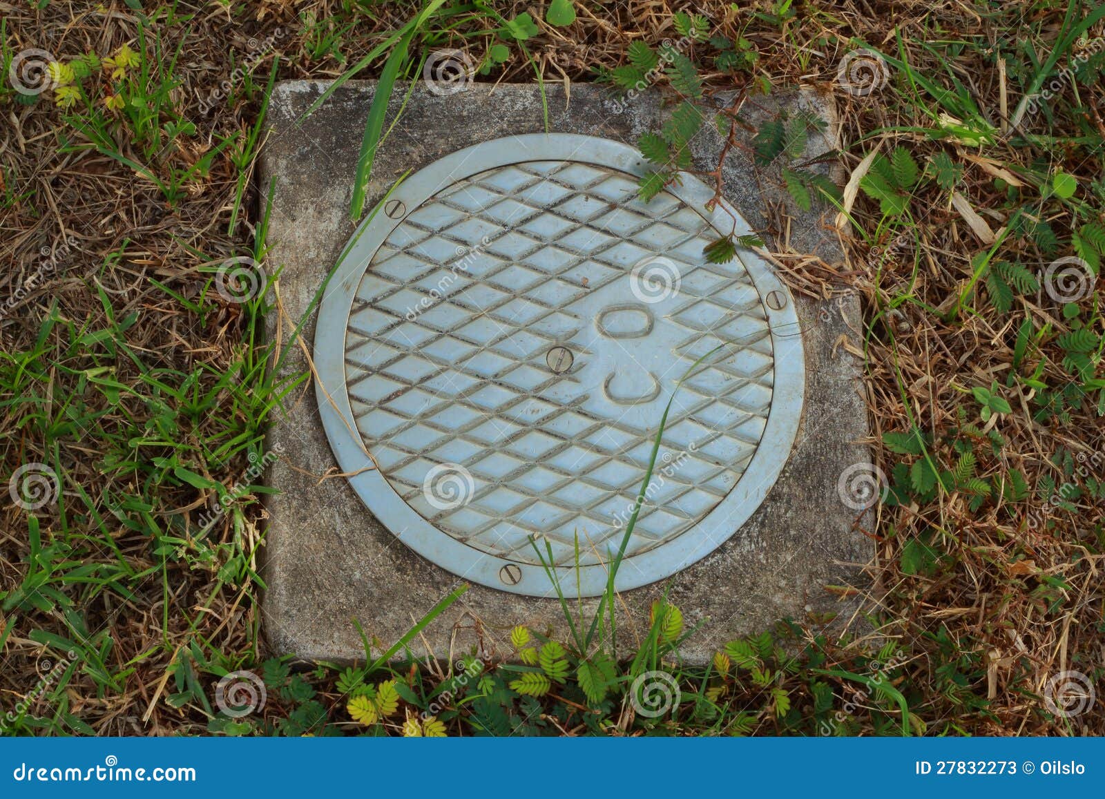 Sewer cover the grass stock image. Image of manhole, running - 27832273