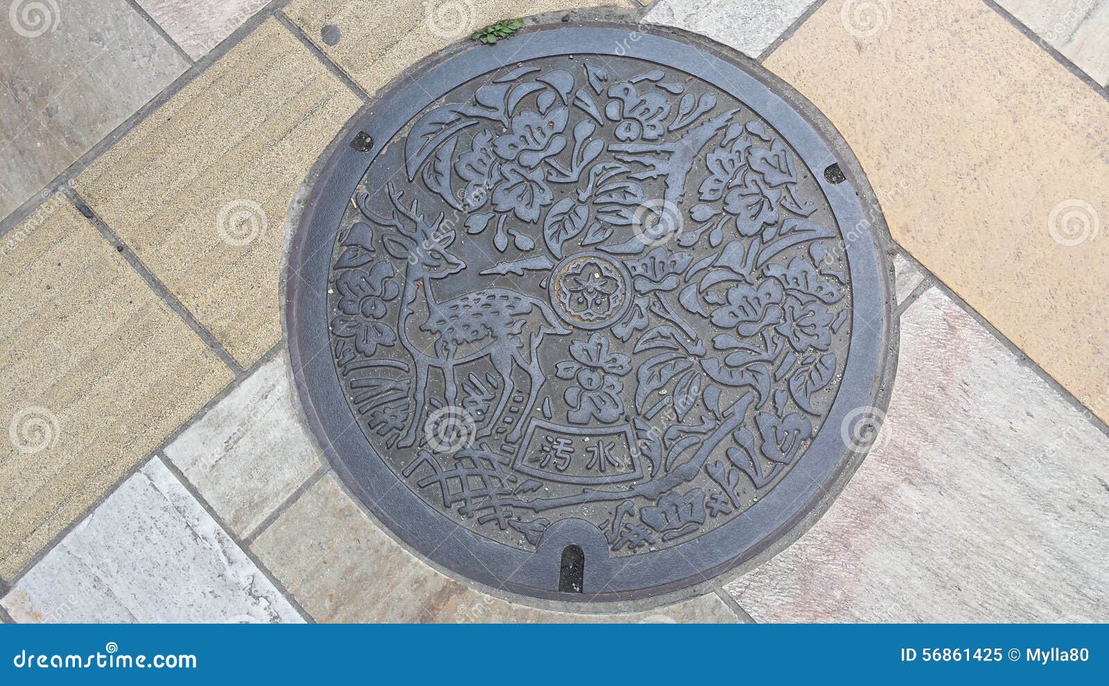 Cower Stock Photos - Download 501 Royalty Free Photos