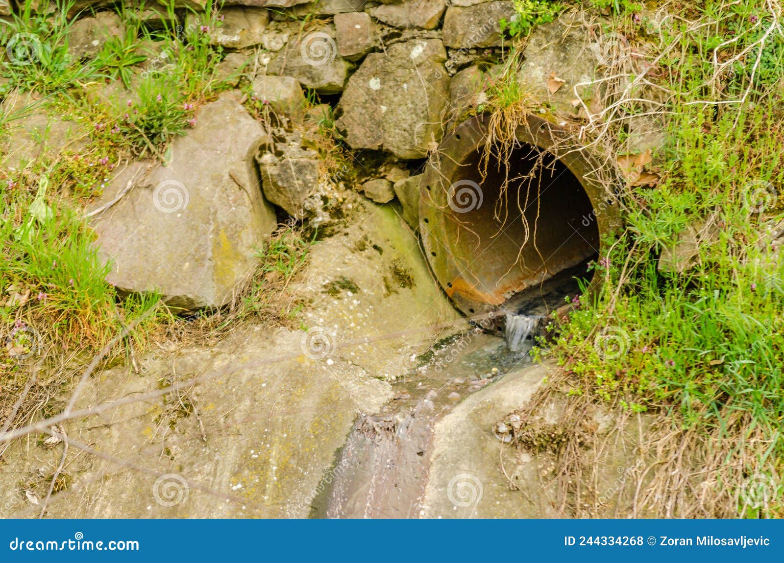 Sewer drain pipe stock photo. Image of brown, cement - 244334268