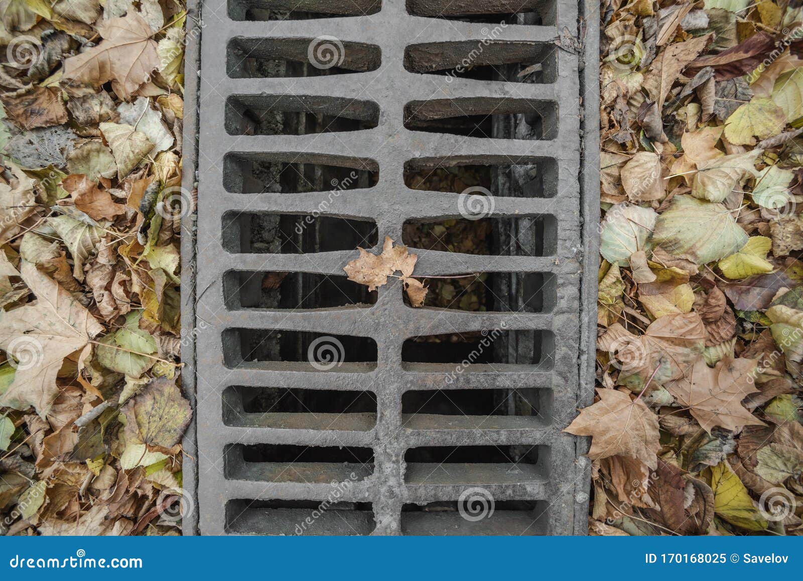 Sewer grate in fall on top stock image. Image of grate - 170168025