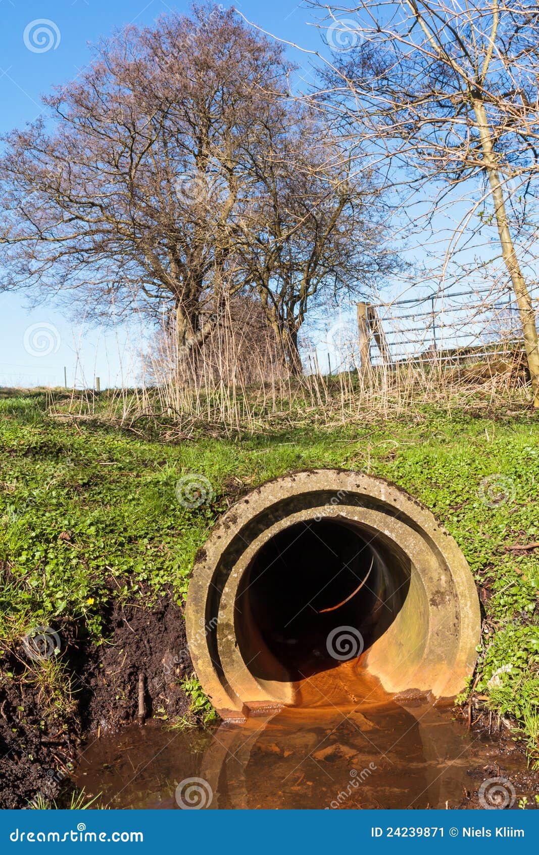 Sewer outlet in the nature stock image. Image of concrete - 24239871