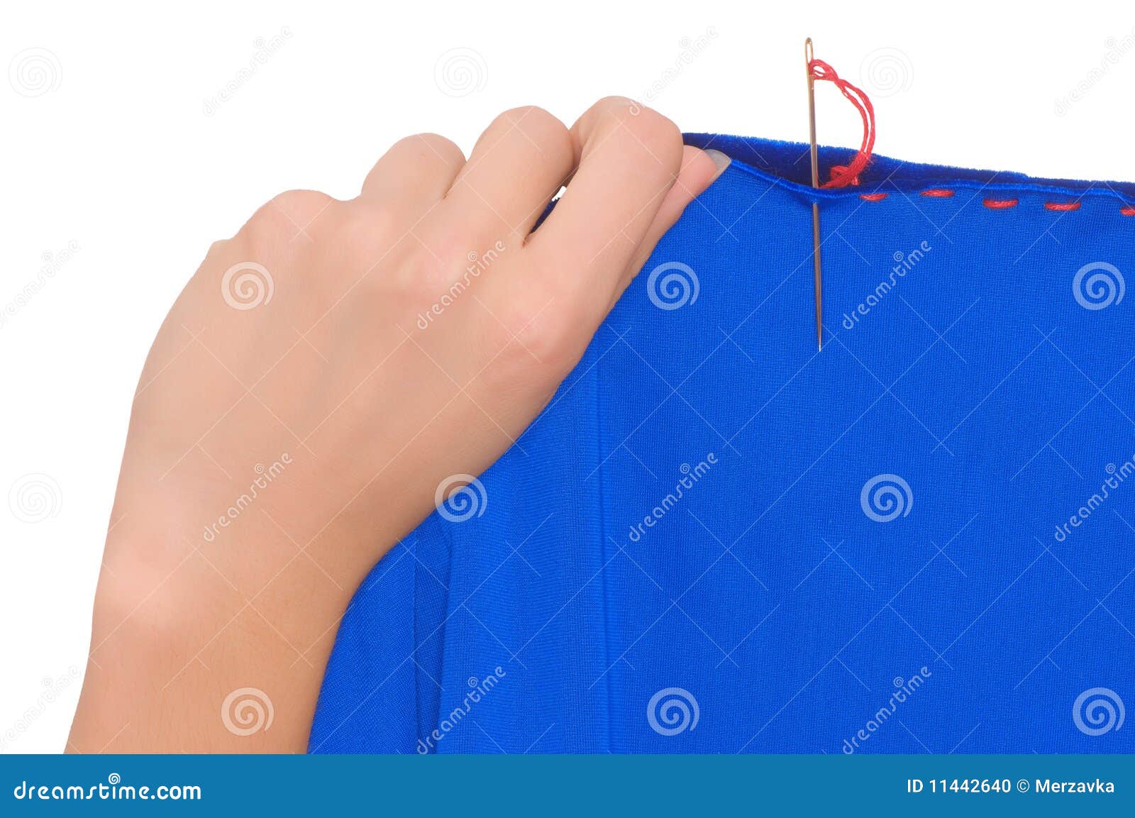 Sewing stock photo. Image of skin, close, tailor, pattern - 11442640