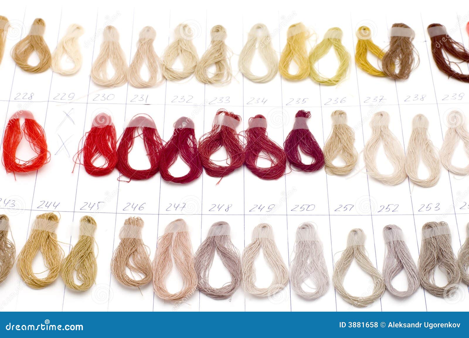 Sewing color map stock photo. Image of color, seam, cotton - 3881658