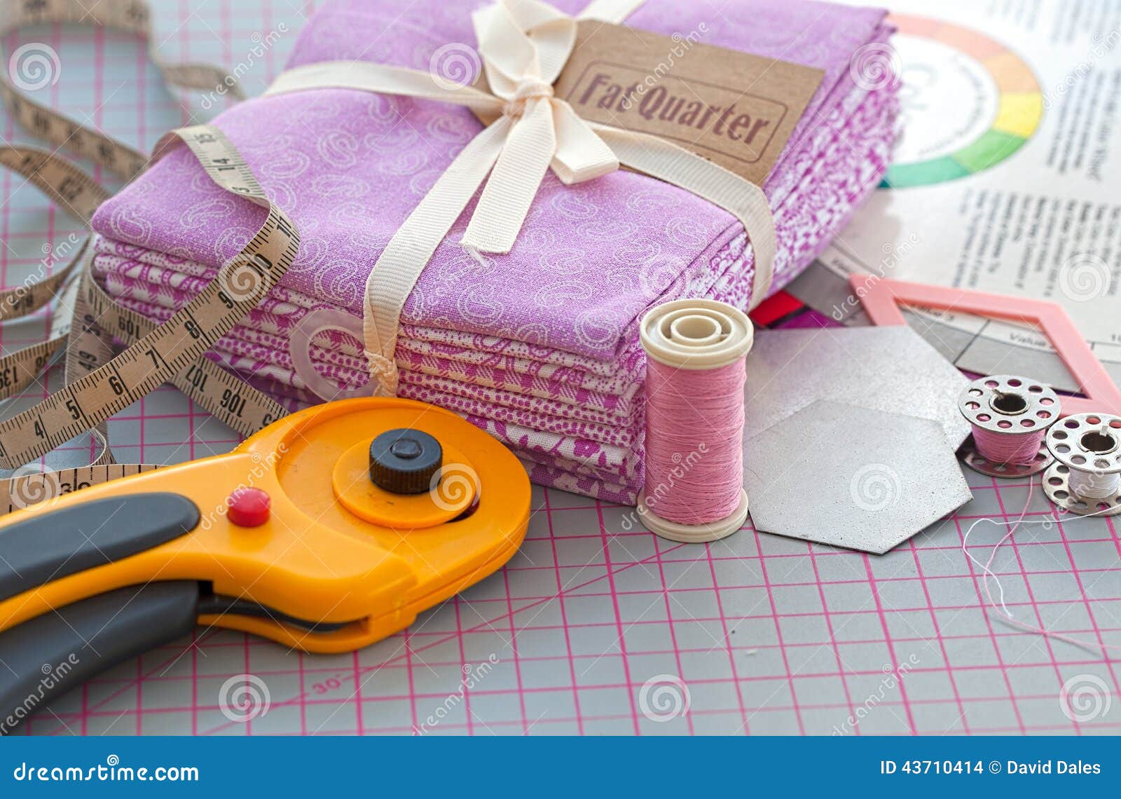 400 Fat Kit Stock Photos - Free & Royalty-Free Stock Photos from Dreamstime