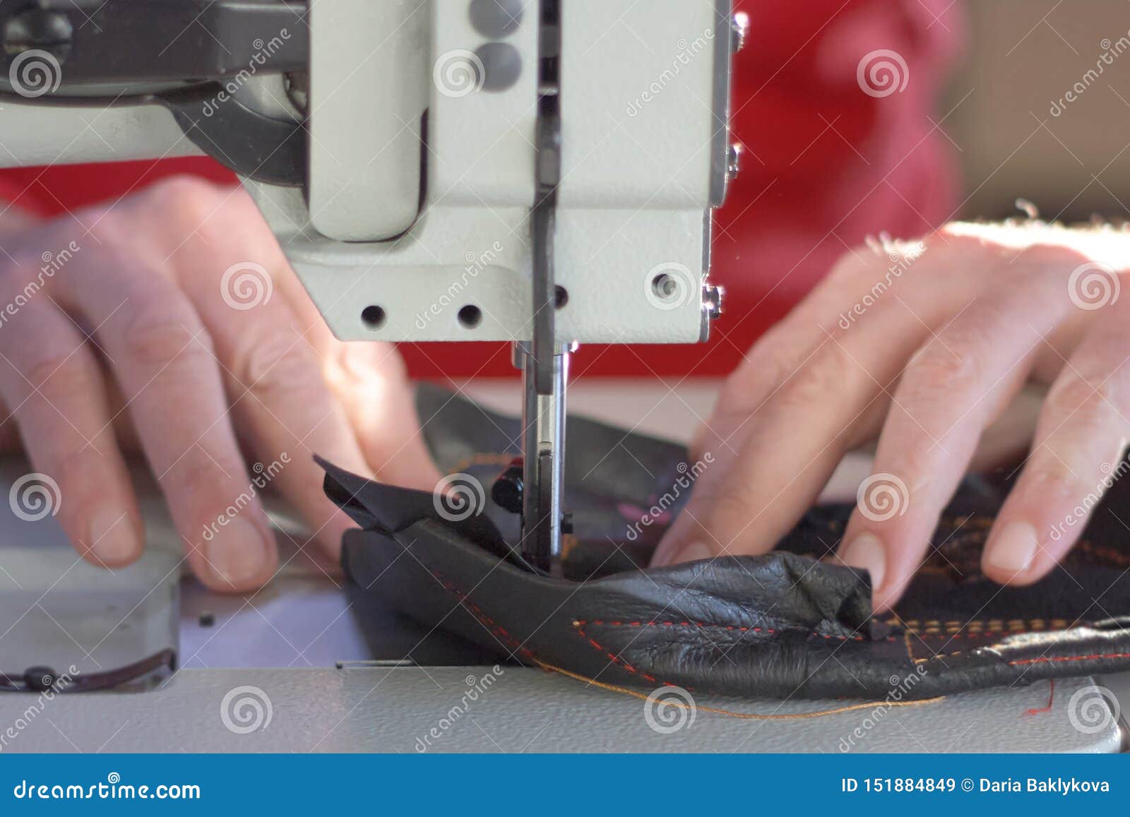 Sewing Machine in a Leather Workshop in Action with Hands Working with ...