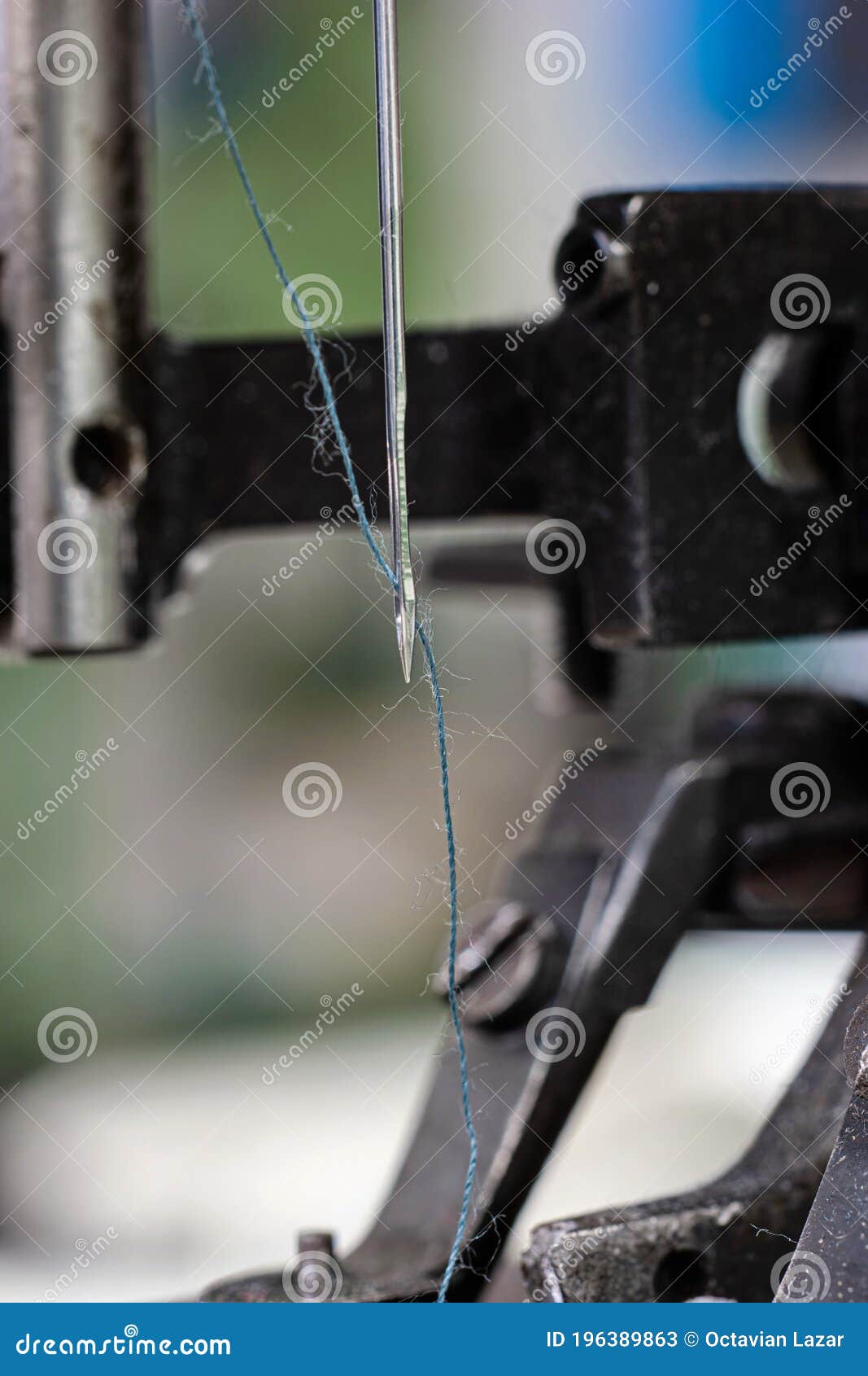 Sewing Machine Needle with Blue Thread Macro Close Up Shot on the Test ...