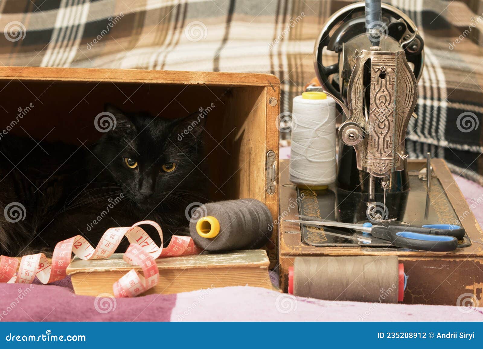 Sewing Machine with Thread and Cat. Stock Photo - Image of fabric ...