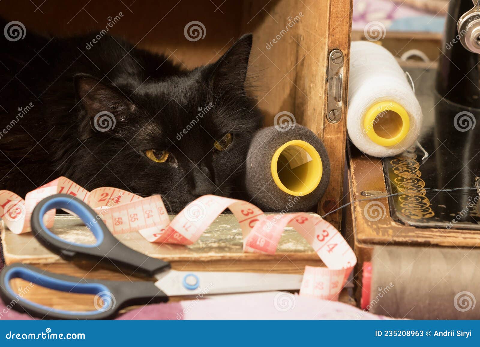 Sewing Machine with Thread and Cat. Stock Image - Image of work ...