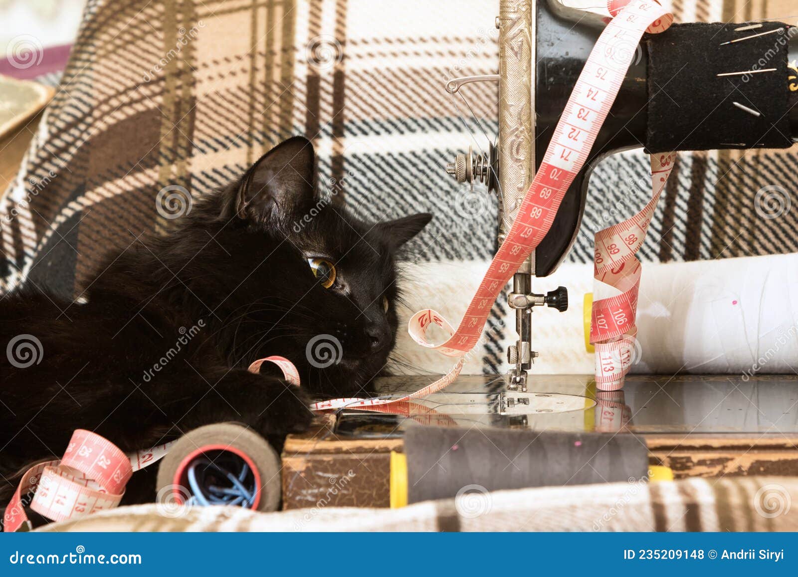 Sewing Machine with Thread and Cat. Stock Photo - Image of tape, mammal ...