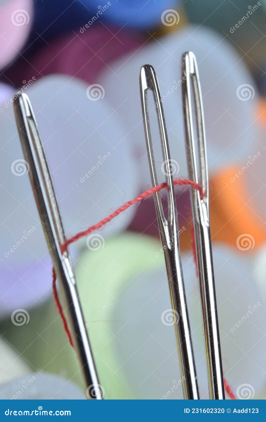 A Sewing Needle with Red Thread through the Eye of the Needle. Macro ...
