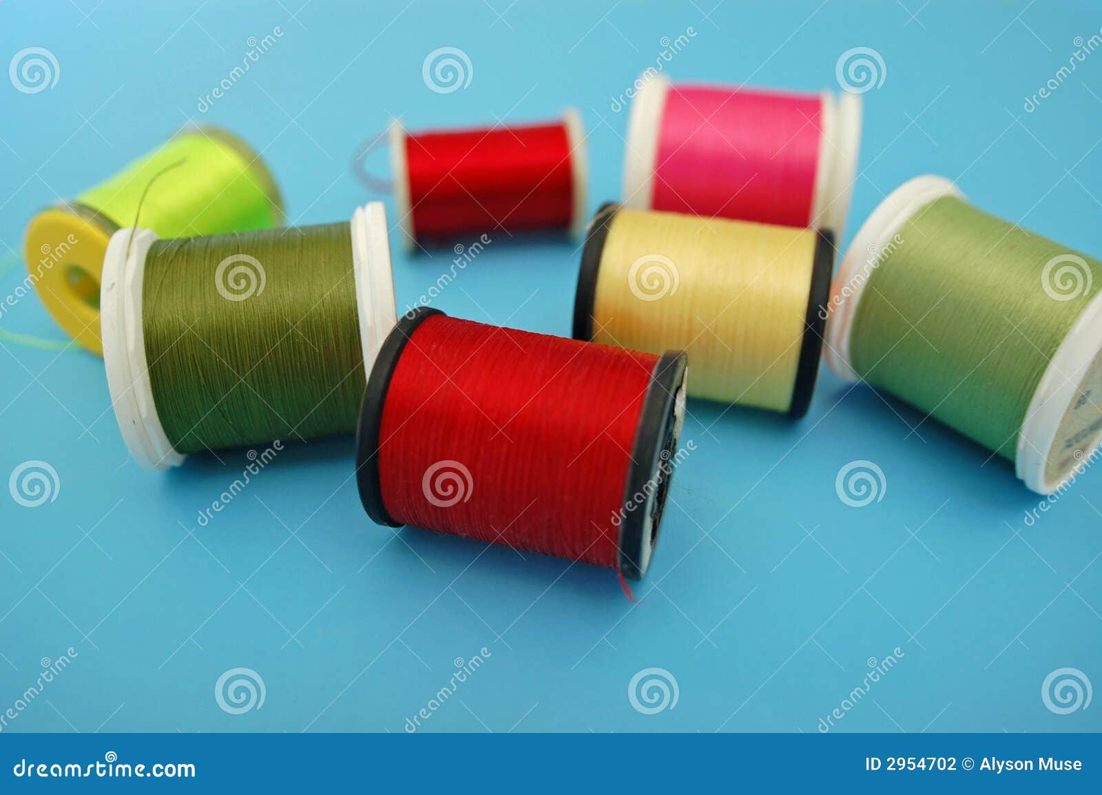 Sewing thread stock photo. Image of profession, green - 2954702