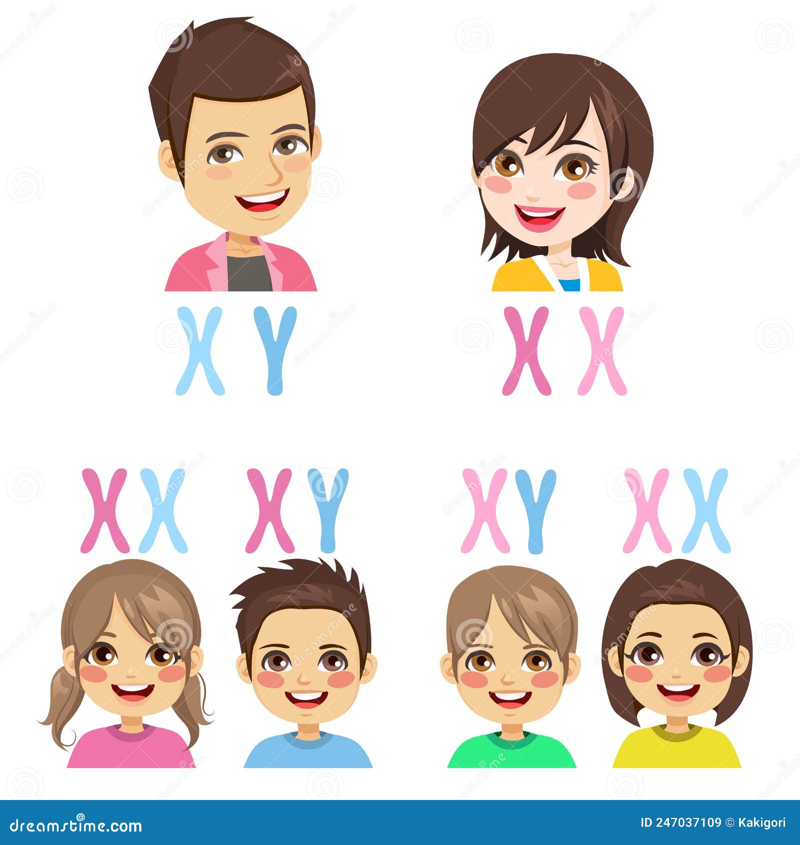 Sex Determination In Humans Stock Vector Illustration Of Cartoon