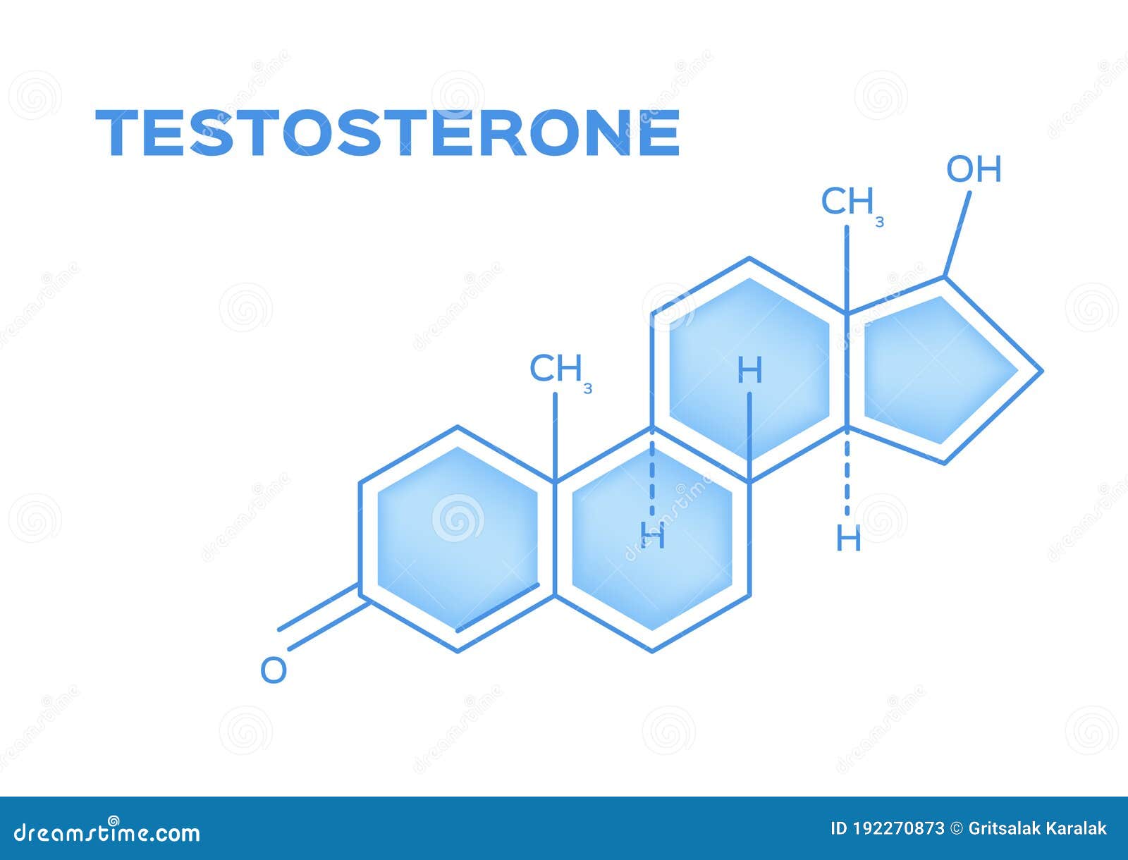 Sex Hormones Testosterone Vector Stock Illustration Illustration Of
